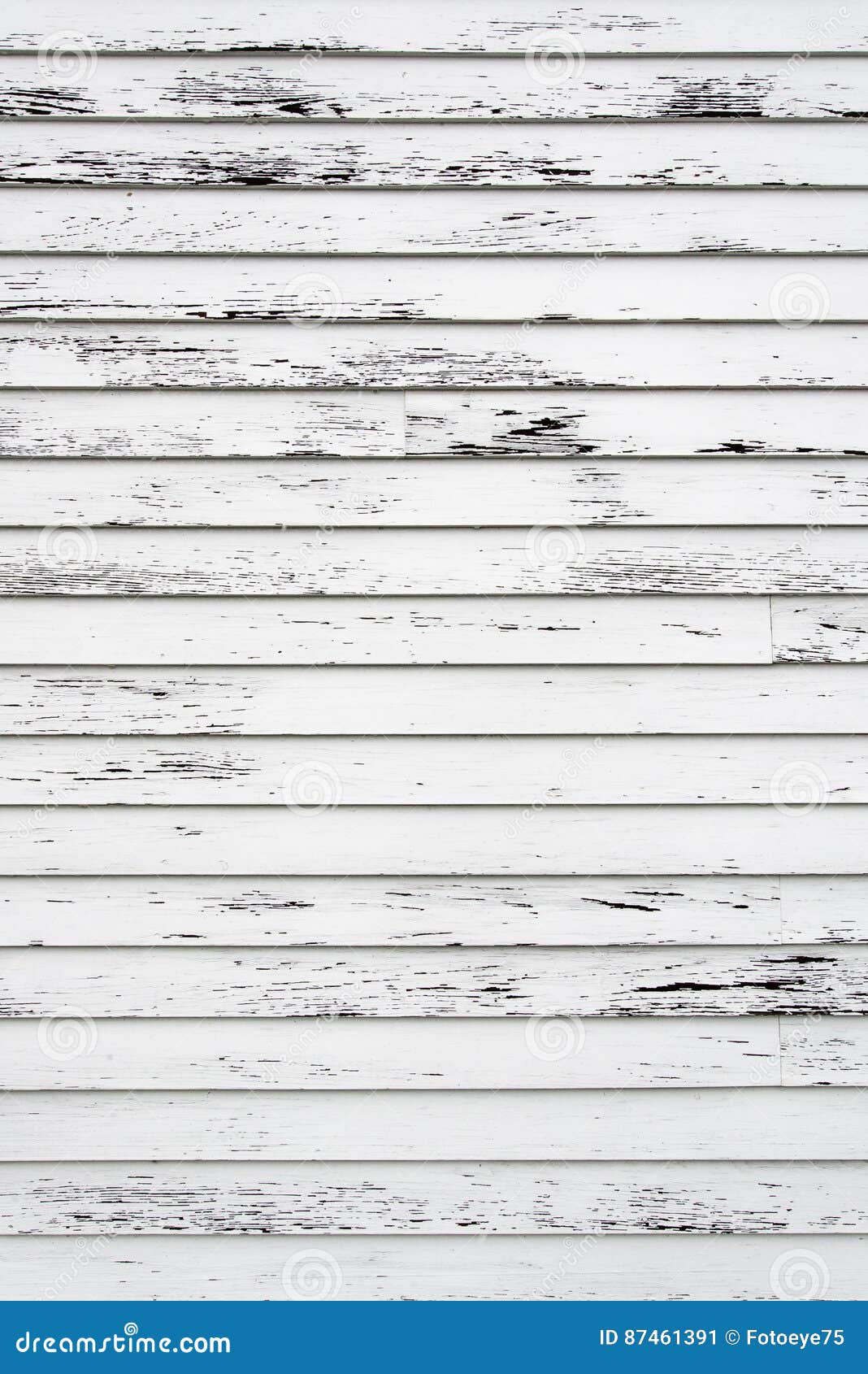 Fundo De Madeira Branco Da Textura Do Tapume Imagem de Stock - Imagem ...