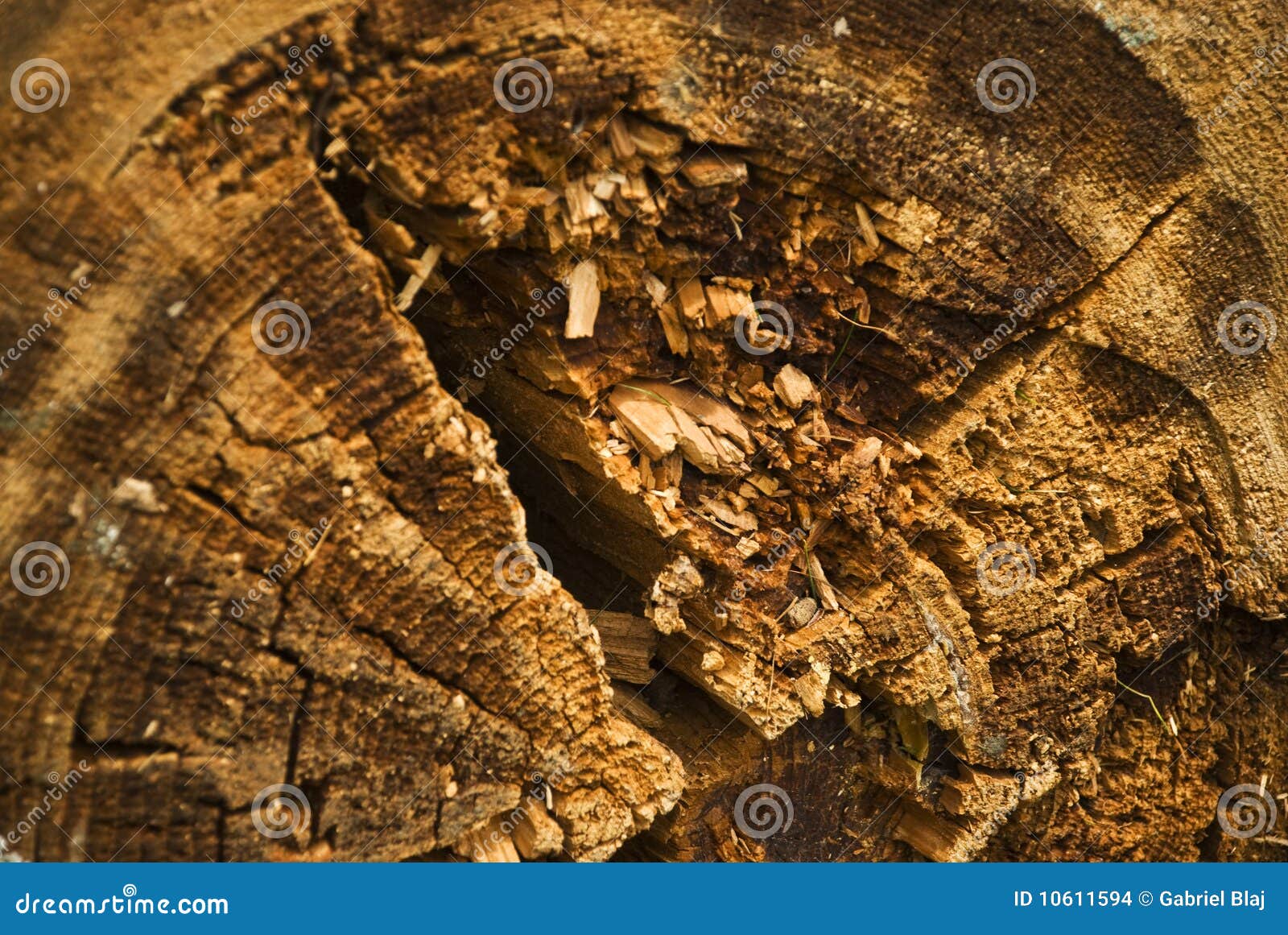 Fundo de madeira podre foto de stock. Imagem de centro - 10611594