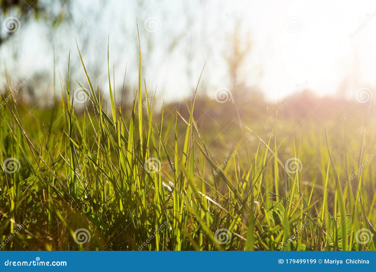 Fundo de relva imagem de stock. Imagem de brilhante - 179499199