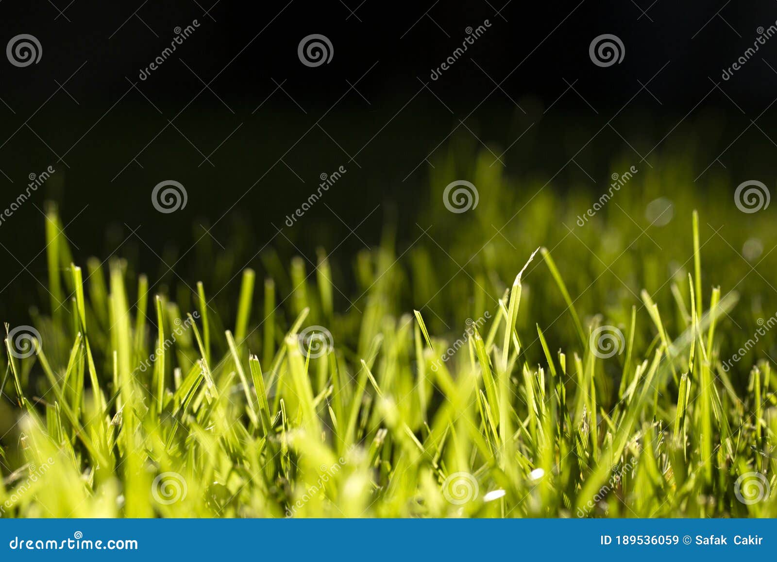 Fundo de relva imagem de stock. Imagem de elemento, agricultura - 189536059