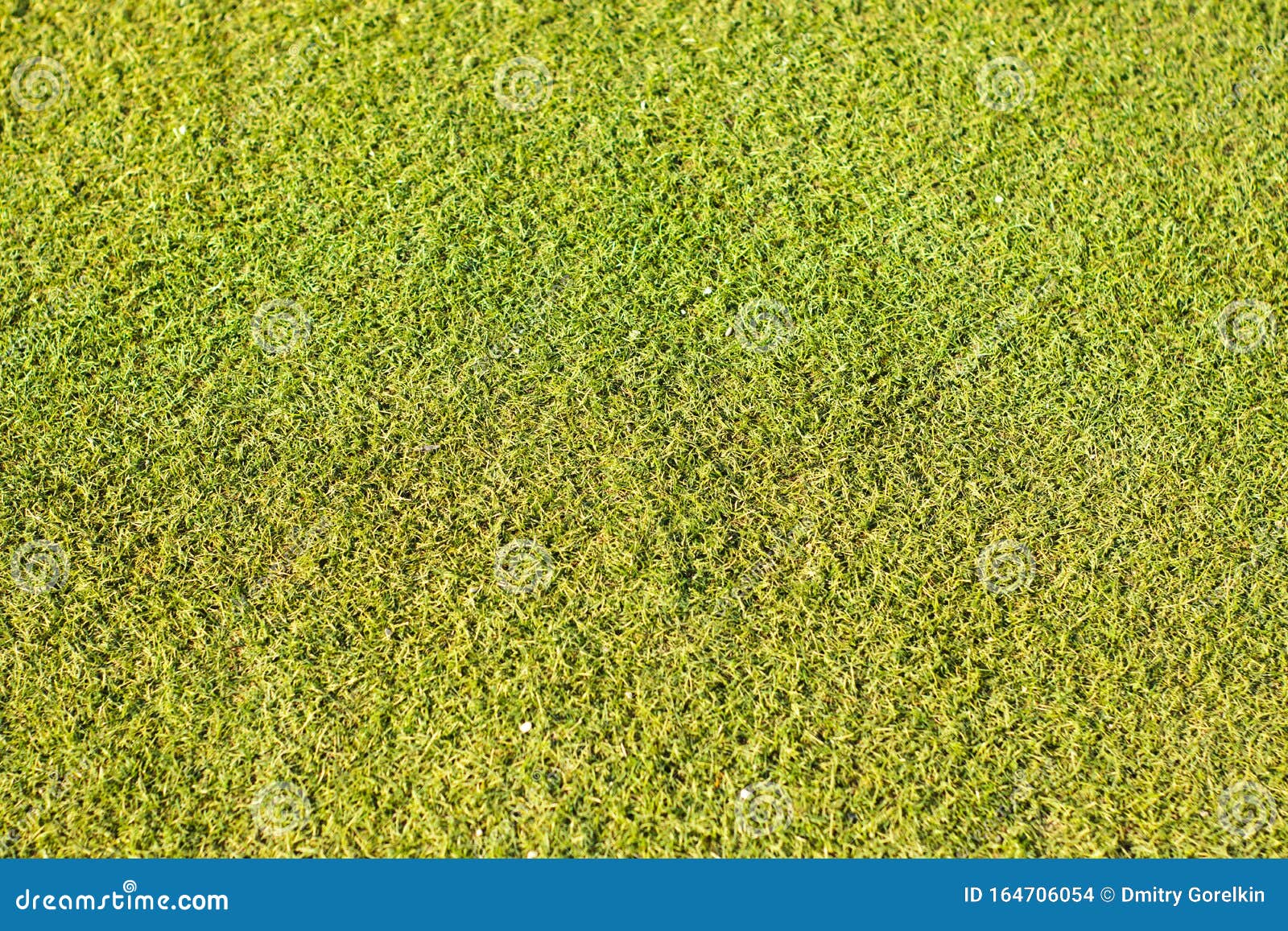Fundo De Textura Da Relva Verde Foto de Stock - Imagem de gramado ...
