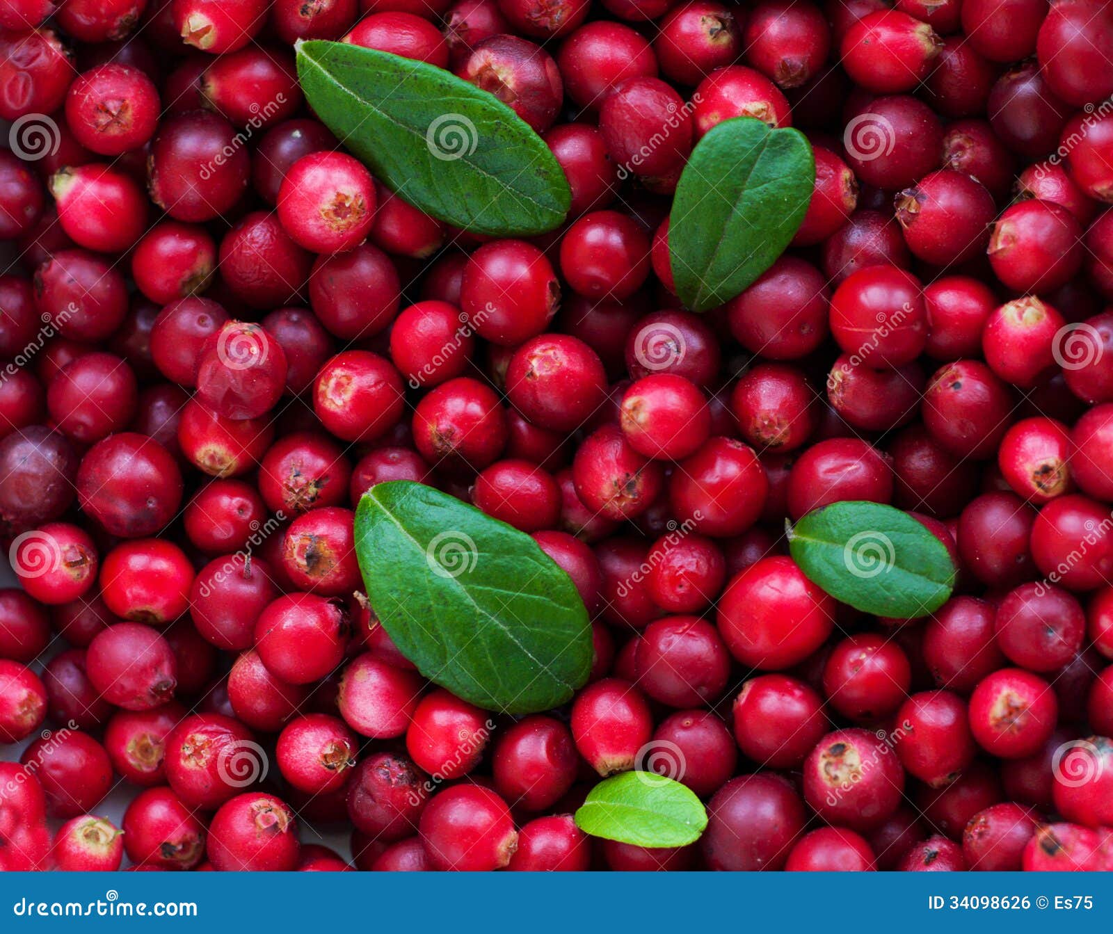 Fundo do arando foto de stock. Imagem de inculto, alimento - 34098626