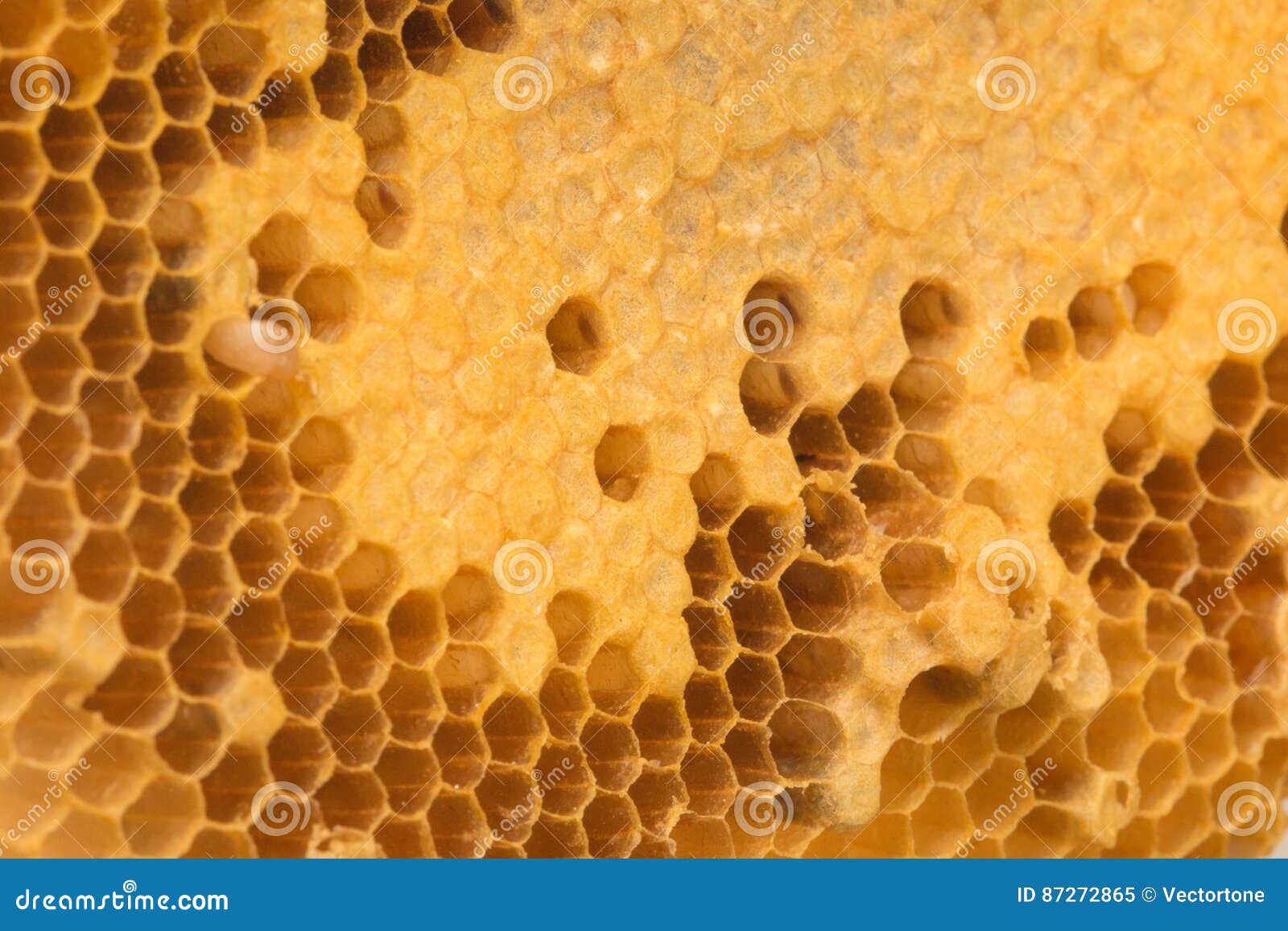 Fundo Do Close Up Da Colmeia Imagem de Stock - Imagem de eficiência ...
