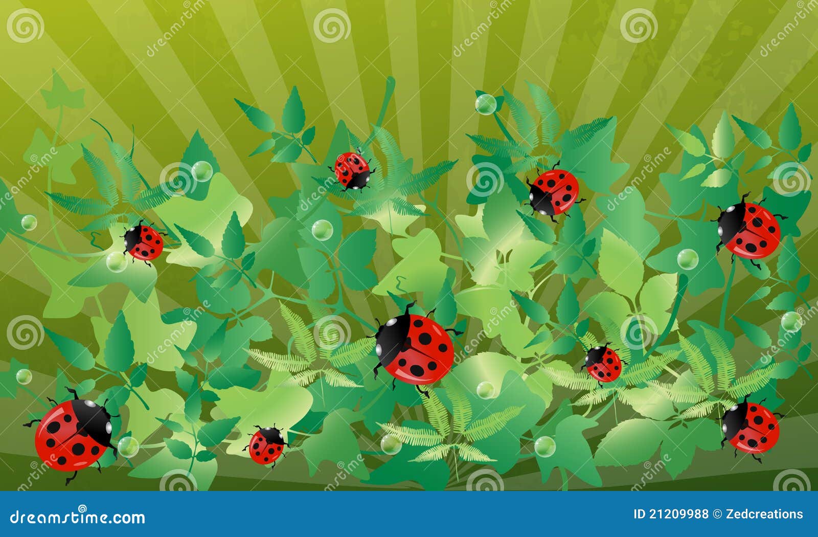 Fundo do Ladybug. ilustração do vetor. Ilustração de inseto - 21209988