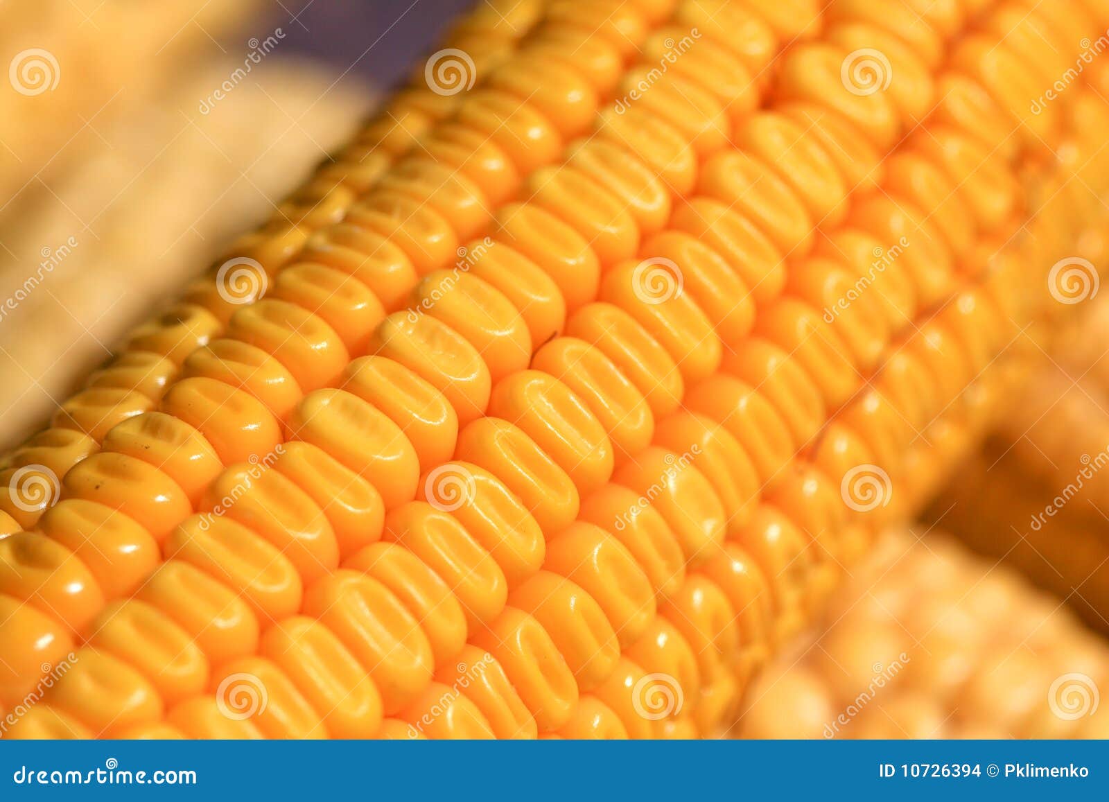 Fundo do milho foto de stock. Imagem de macro, dourado - 10726394