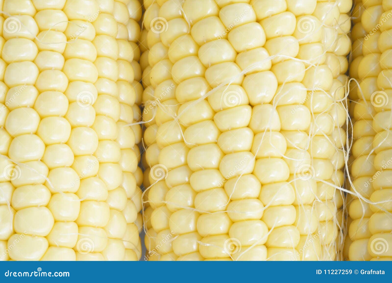 Fundo do milho imagem de stock. Imagem de nave, fileira - 11227259