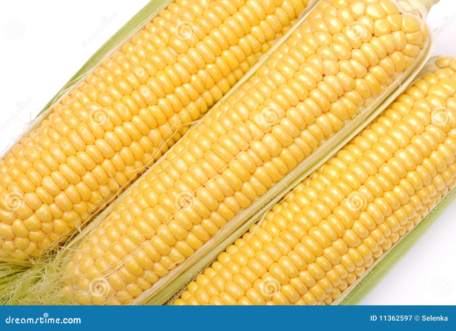 Fundo do milho imagem de stock. Imagem de orgânico, fundo - 11362597