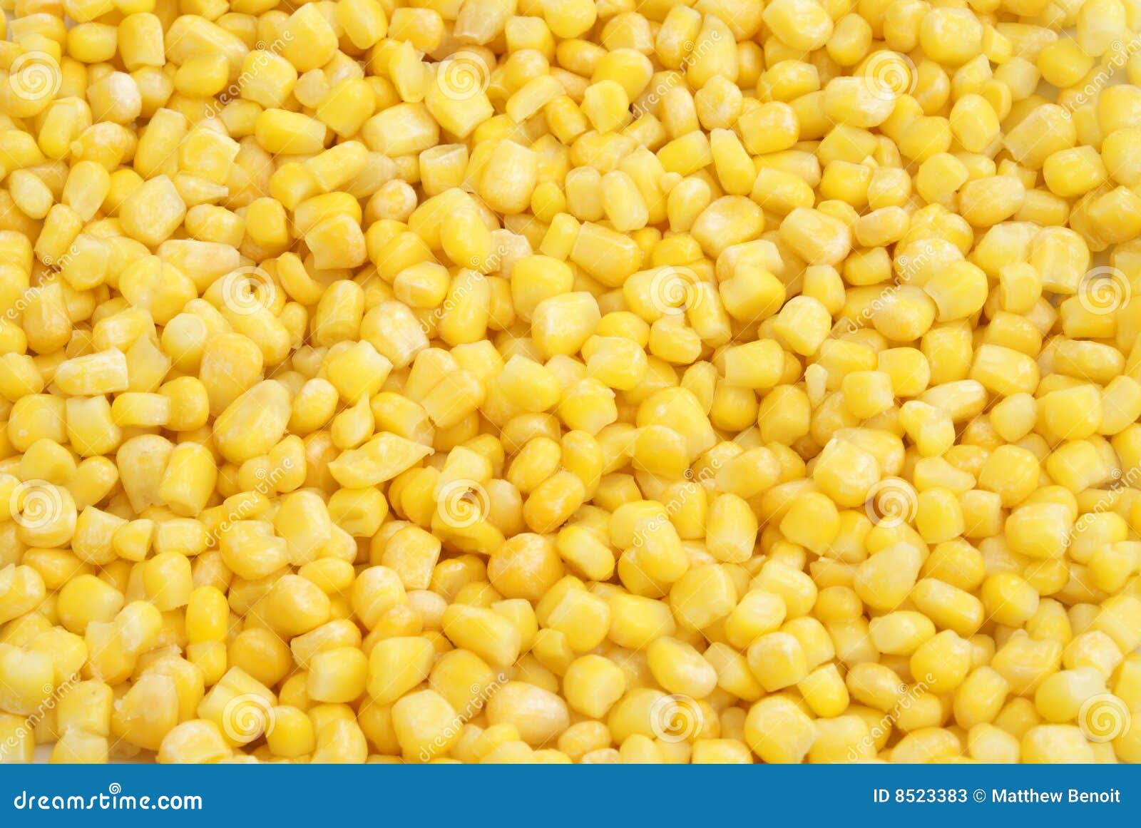 Fundo do milho imagem de stock. Imagem de vegetariano - 8523383