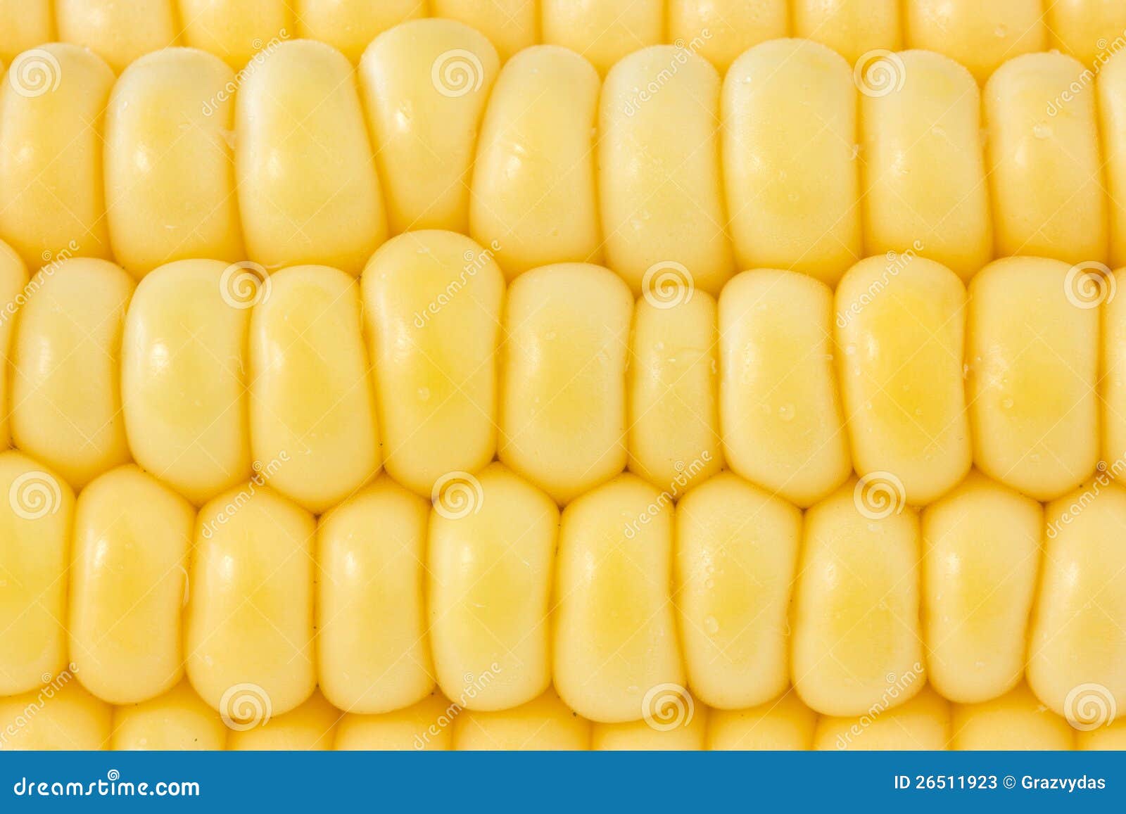 Fundo Do Milho Doce Amarelo Imagem de Stock - Imagem de maduro, produto ...