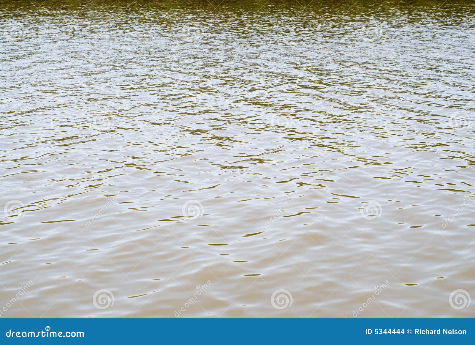 Fundo do rio foto de stock. Imagem de sujo, marrom, fluir - 5344444