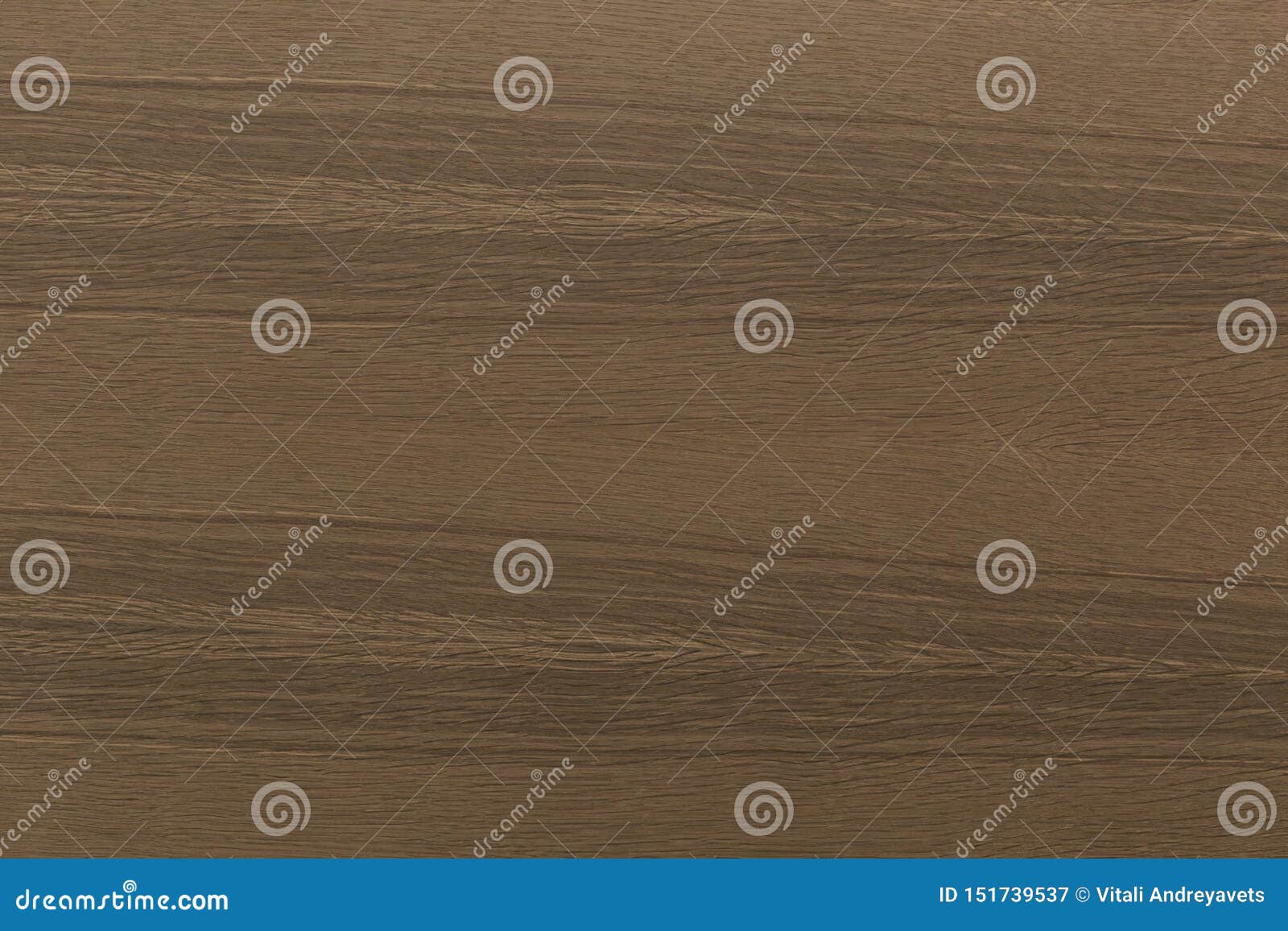 Fundo E Textura De Madeira Com Ra?as Diferentes Imagem de Stock ...