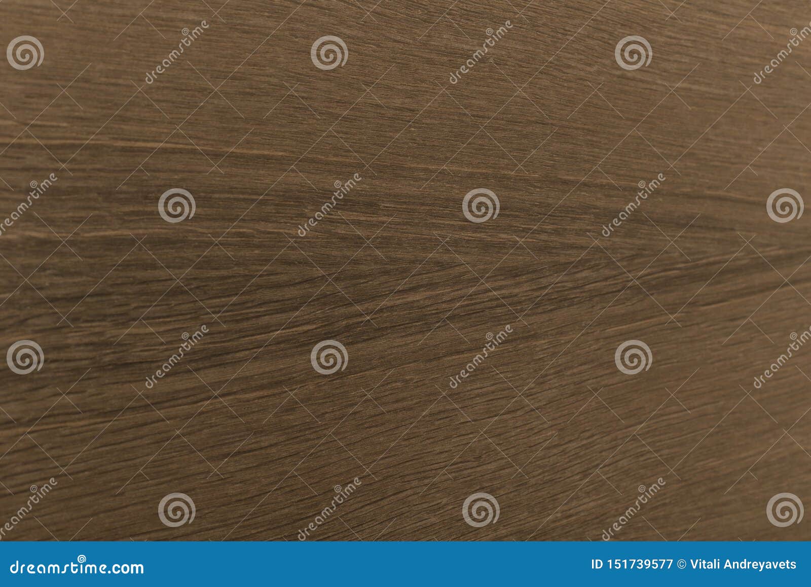 Fundo E Textura De Madeira Com Ra?as Diferentes Imagem de Stock ...