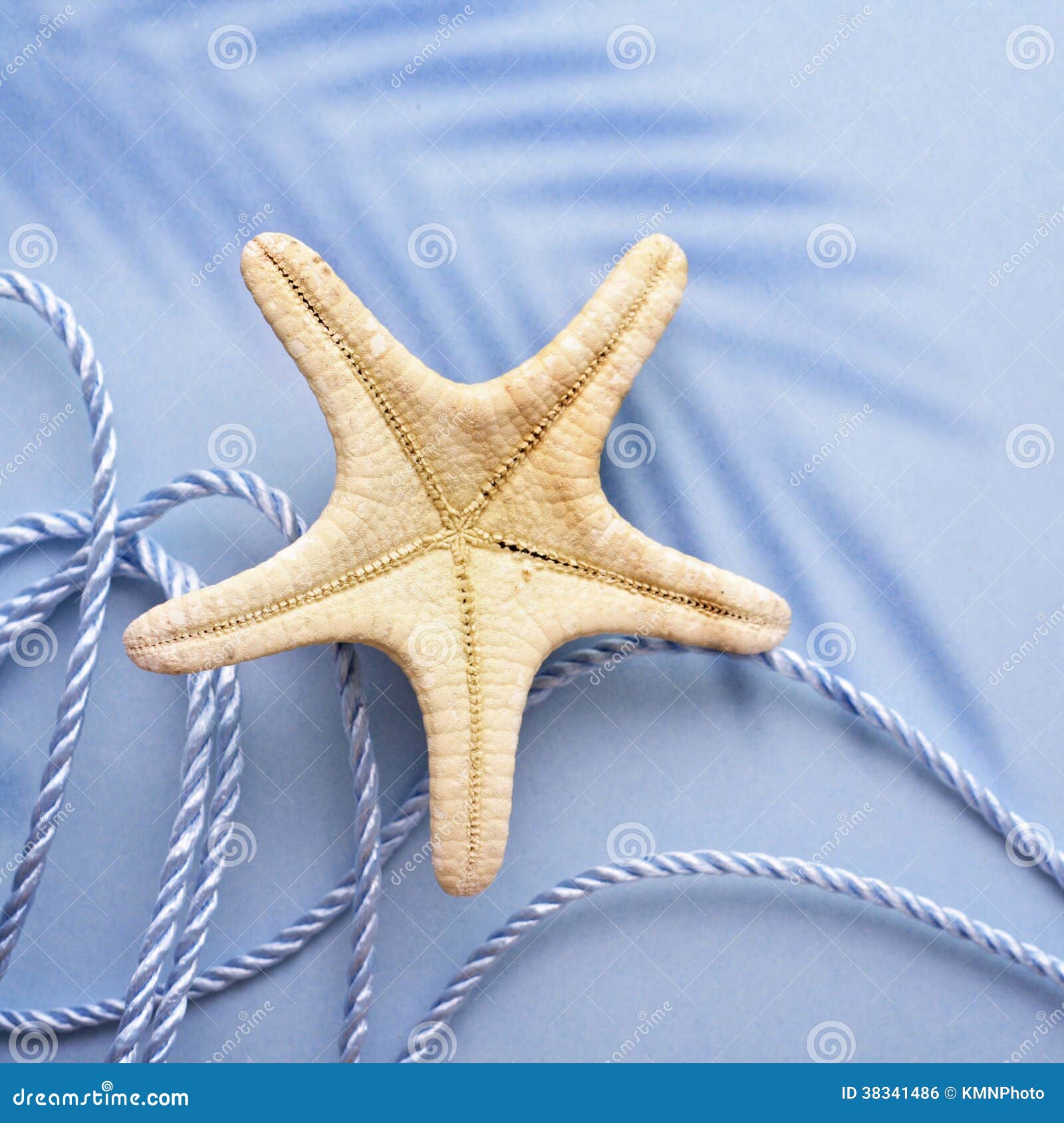 Fundo marinho foto de stock. Imagem de tropical, conchas - 38341486