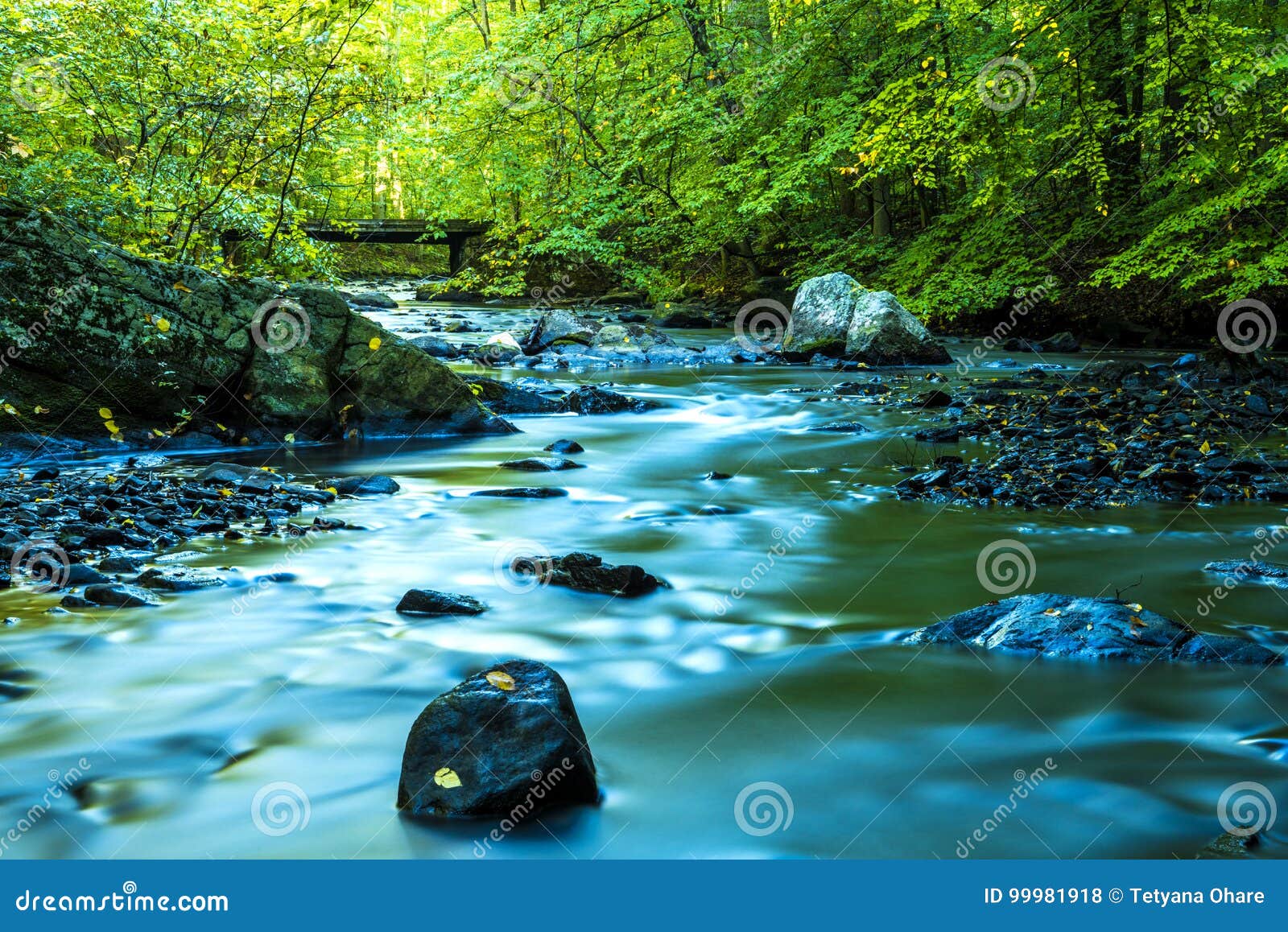 Fundo preto do rio foto de stock. Imagem de rocha, outono - 99981918