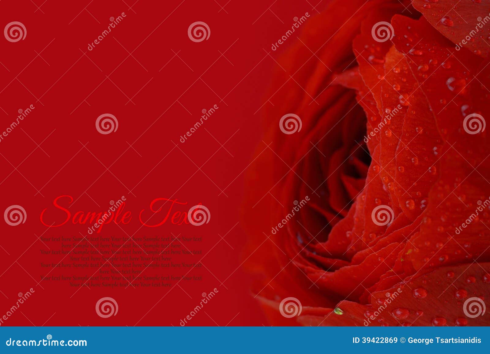 Fundo Vermelho Molhado Bonito Da Flor Imagem de Stock - Imagem de nave ...