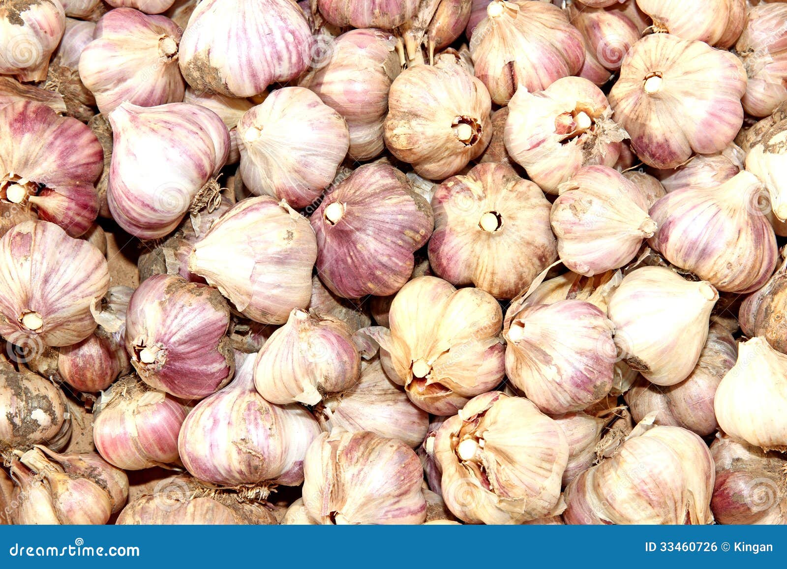 Fundos Dos Muitos Alho Roxo Foto de Stock - Imagem de agricultura ...