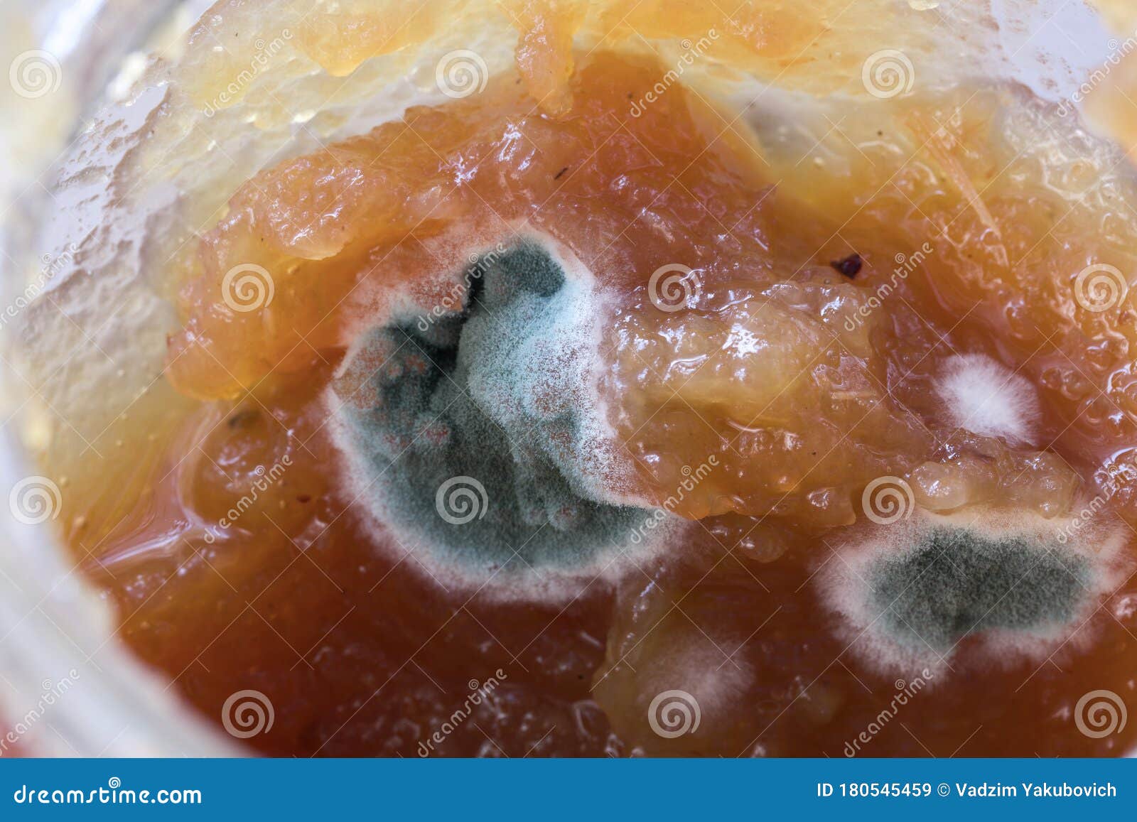 Fungal Mold on Apple Jam. Close-up Shot Stock Image - Image of mildew ...