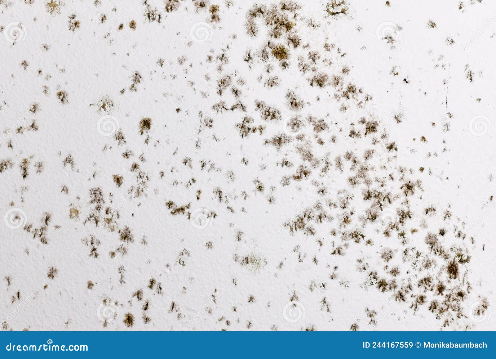 Mold Spots Stock Photo | CartoonDealer.com #143369718