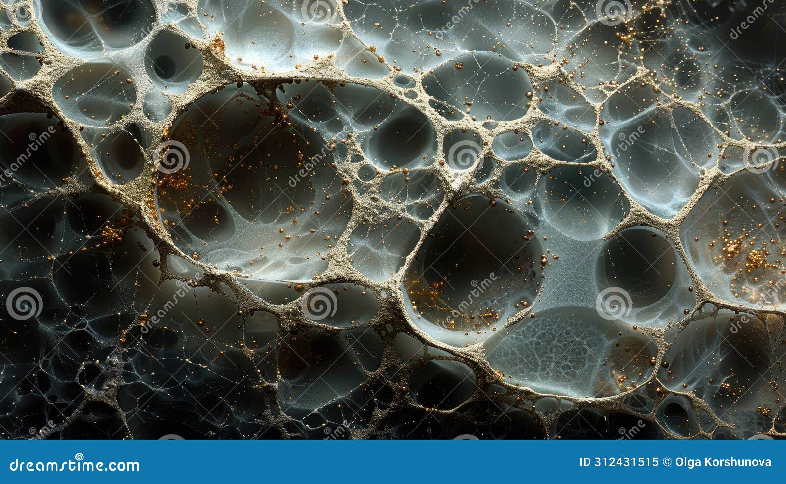 Fungal Mycelium Network Expanding On Nutrient Agar Stock Image ...