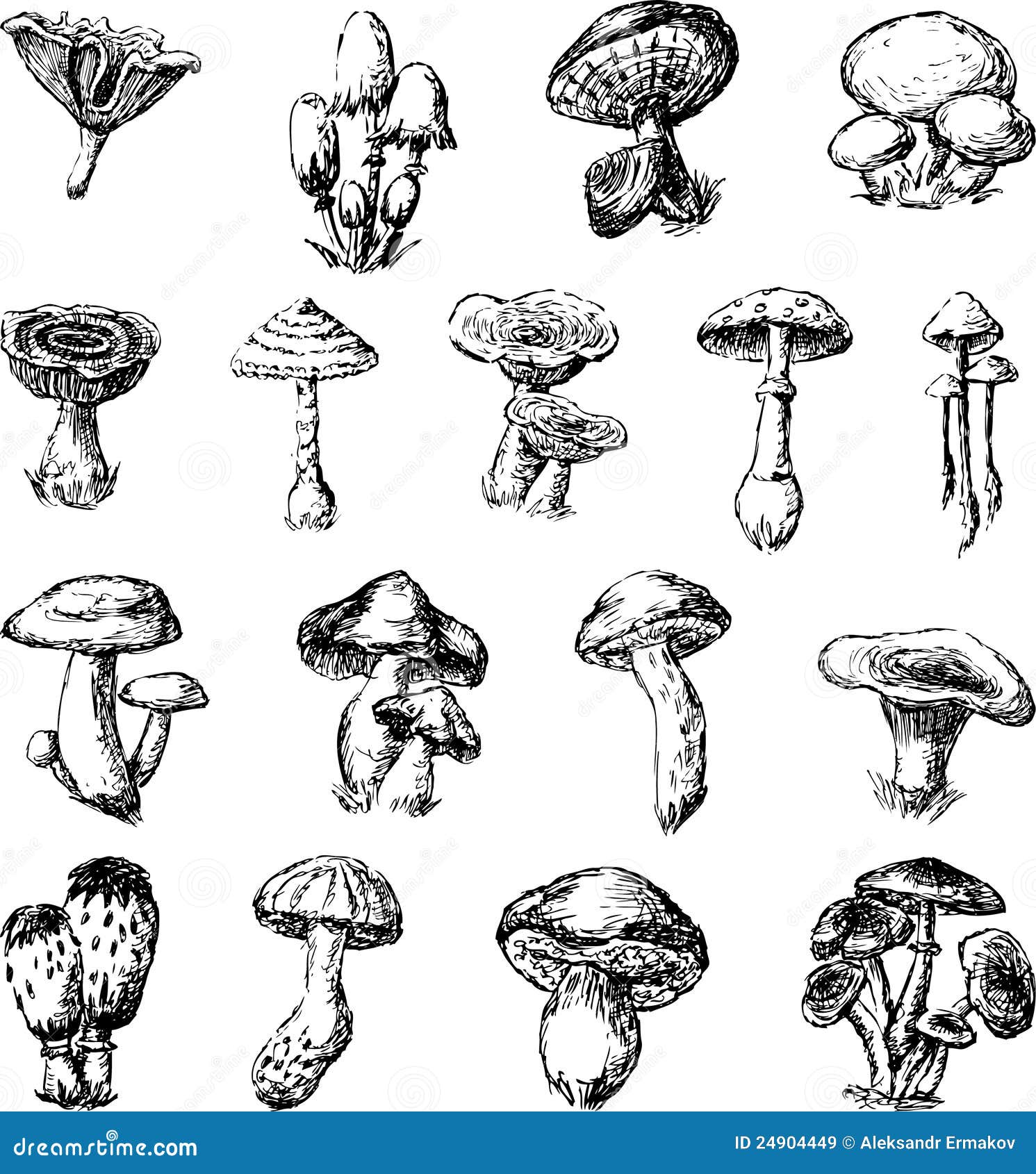 Funghi illustrazione vettoriale. Illustrazione di bianco - 24904449