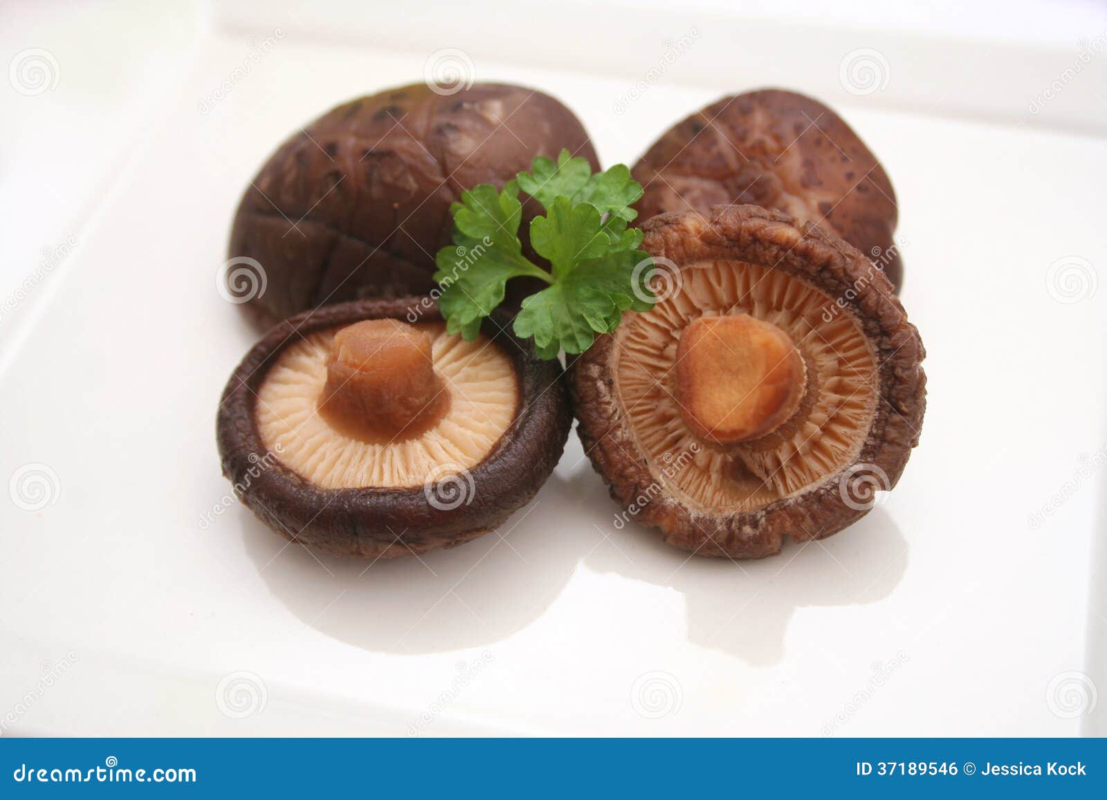 Funghi di shiitake freschi fotografia stock. Immagine di verdure - 37189546