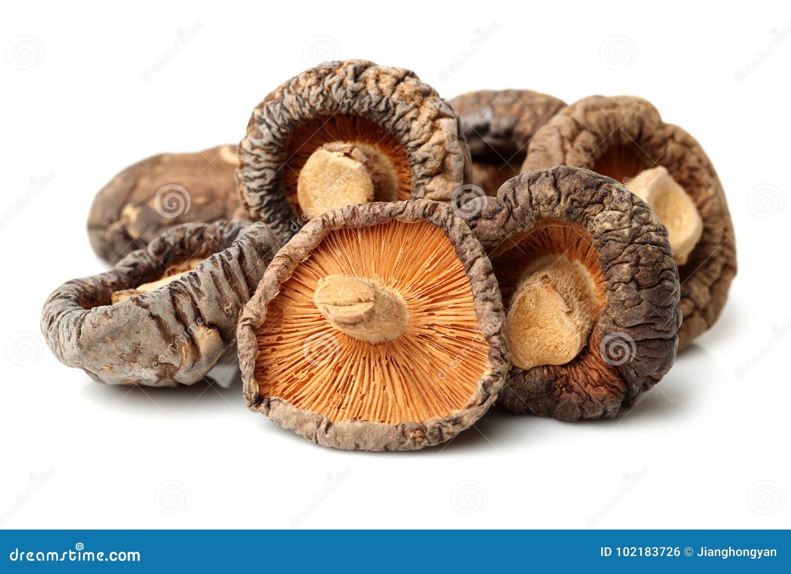 Funghi di shiitake secchi fotografia stock. Immagine di bontà - 102183726
