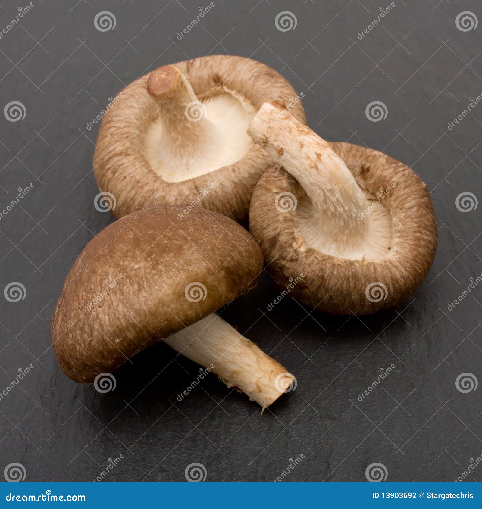 Funghi di Shitake fotografia stock. Immagine di marrone - 13903692