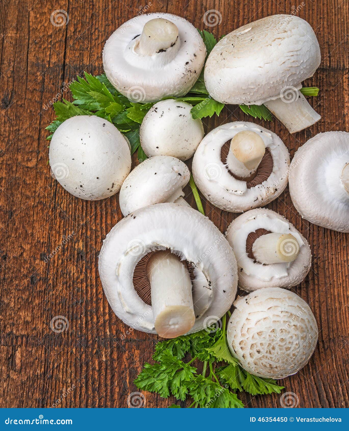 Funghi - funghi prataioli fotografia stock. Immagine di estratto - 46354450