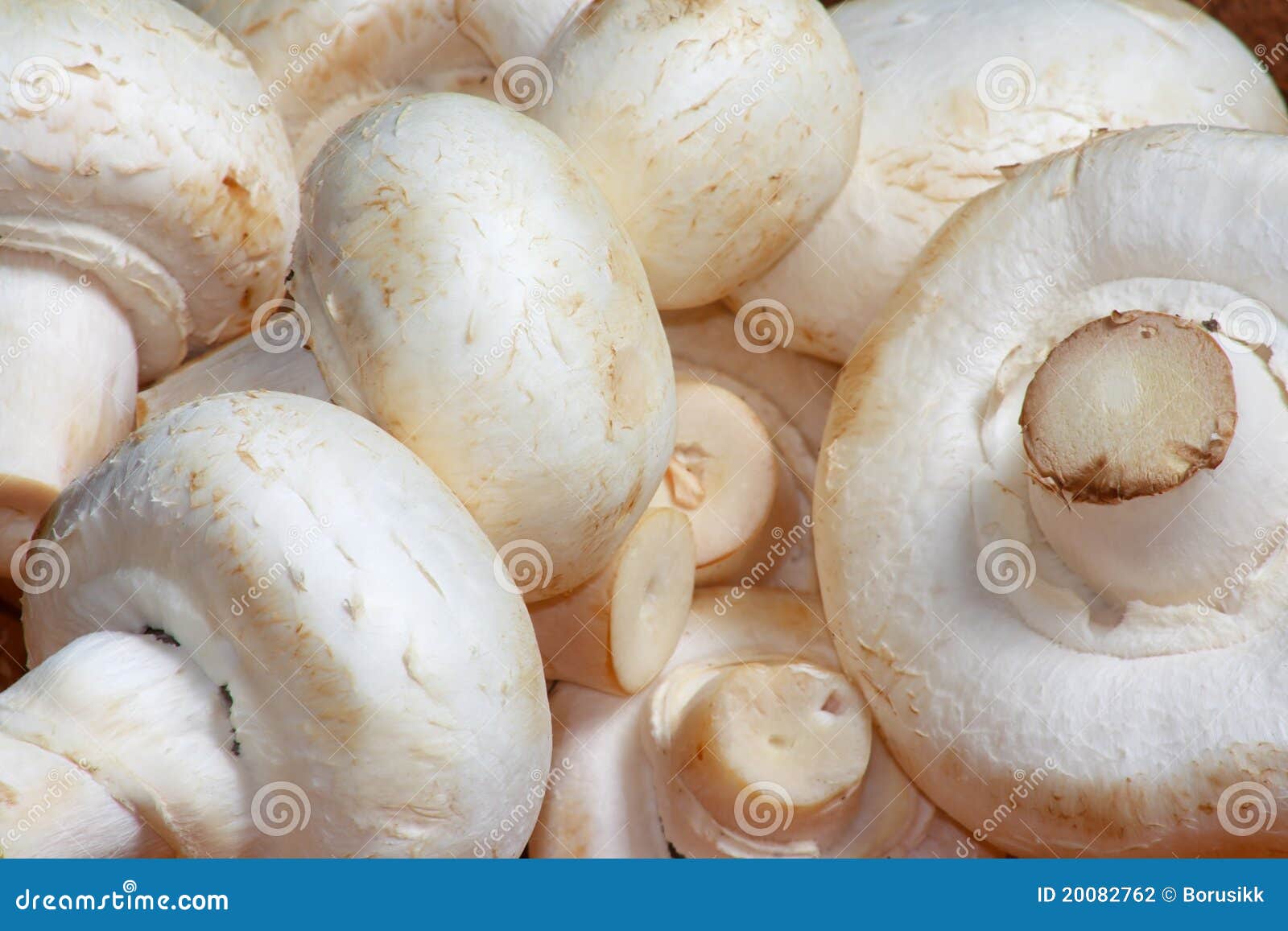 Funghi Prataioli Bianchi Grezzi Fotografia Stock - Immagine di terreno ...