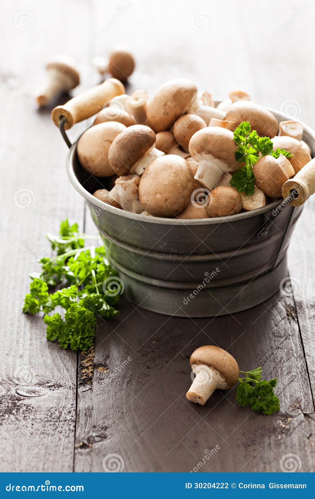 Funghi prataioli fotografia stock. Immagine di alimento - 30204222