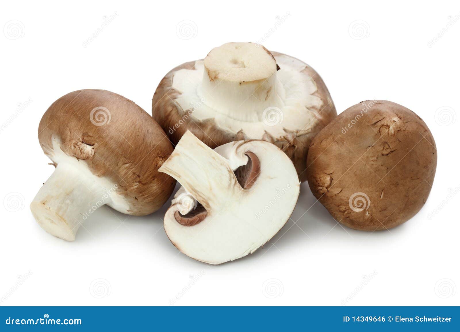 Funghi prataioli del Brown fotografia stock. Immagine di ingrediente ...