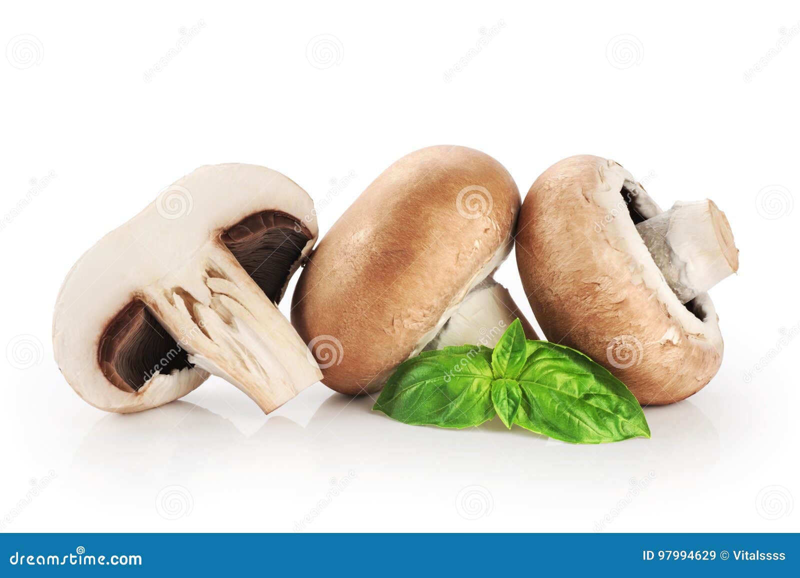 Funghi Prataioli E Basilico Reali Immagine Stock - Immagine di fetta ...