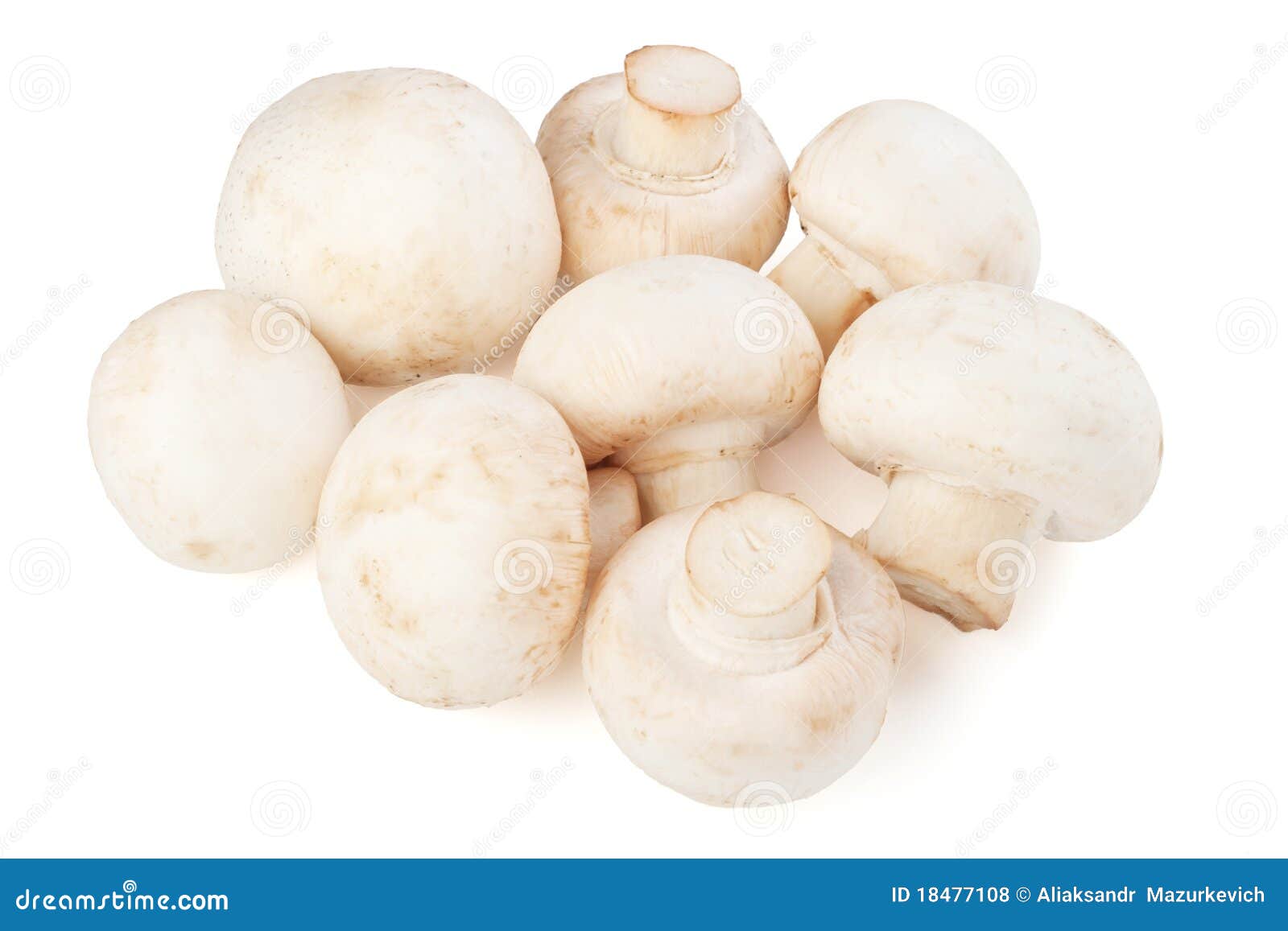Funghi prataioli freschi fotografia stock. Immagine di commestibile ...