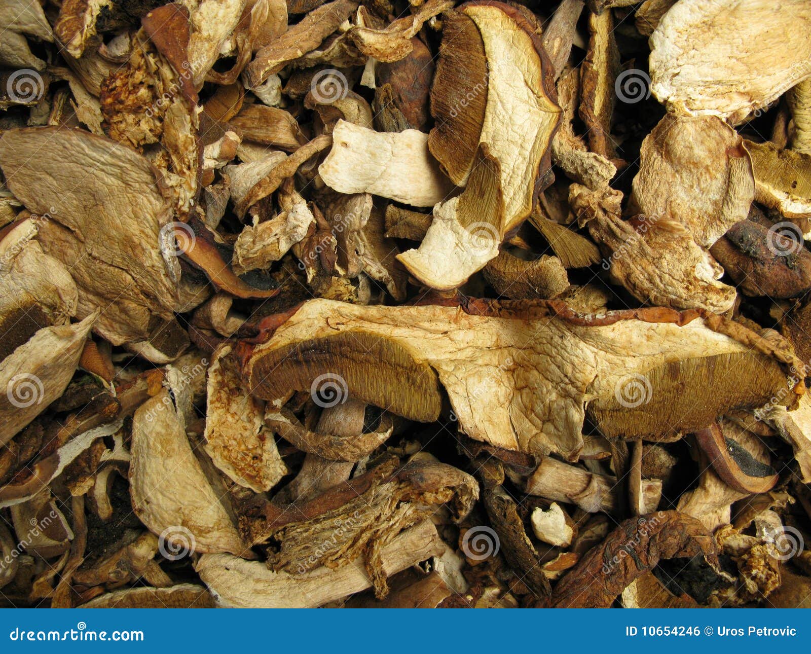 Funghi secchi fotografia stock. Immagine di particolari - 10654246