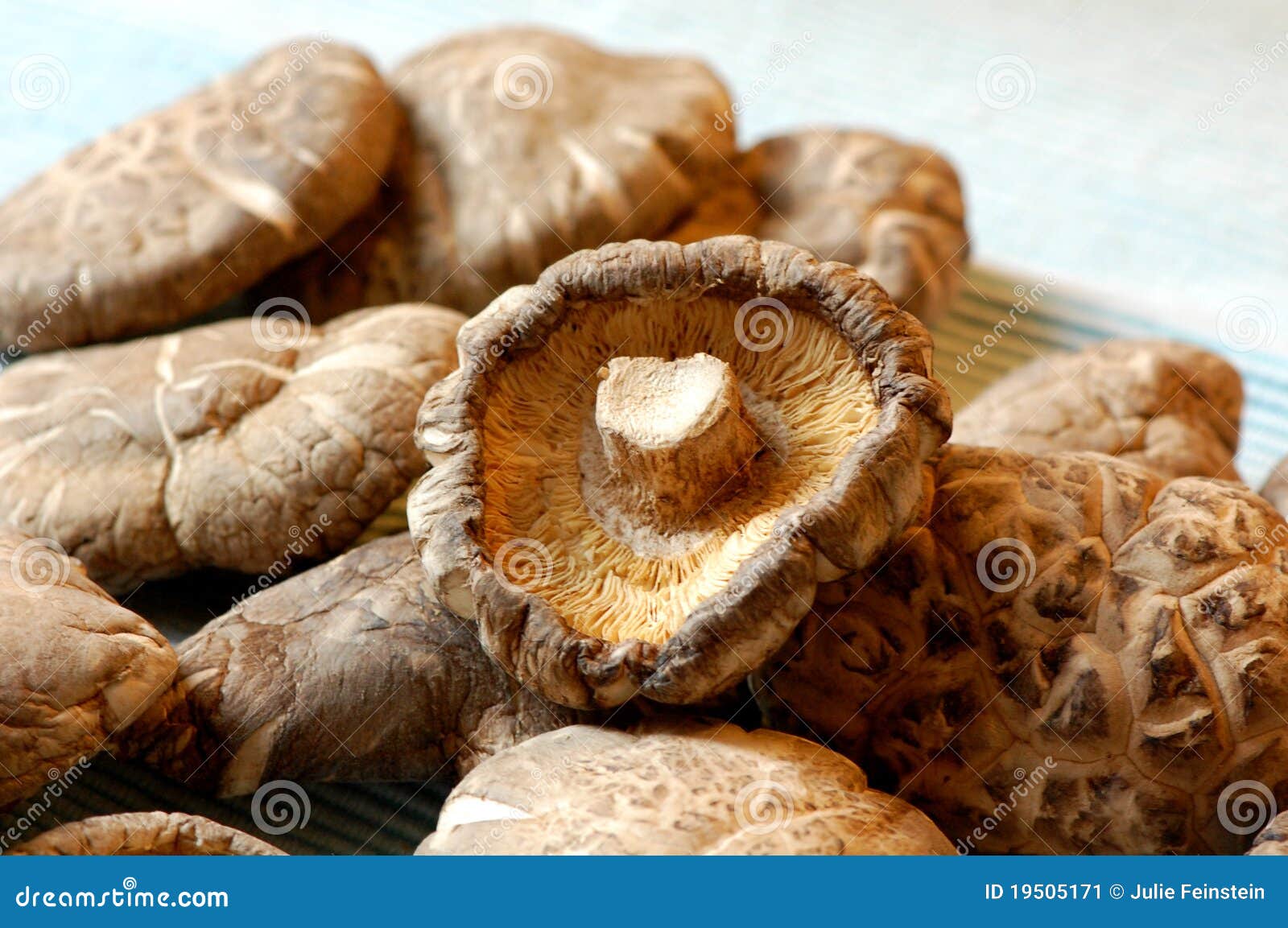 Funghi secchi cinesi immagine stock. Immagine di suola - 19505171