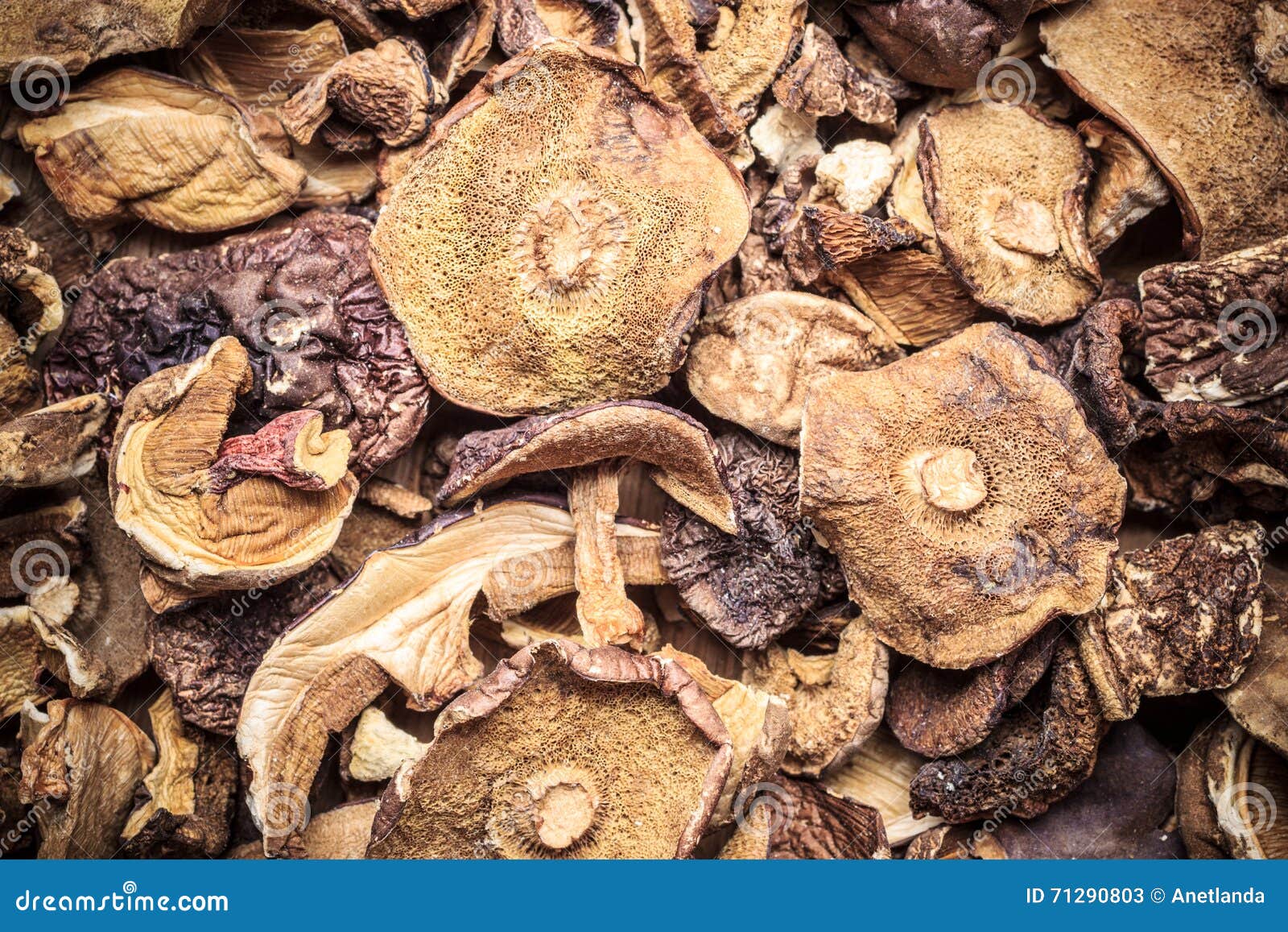 Funghi Secchi Come Fondo Dell'alimento Immagine Stock - Immagine di ...