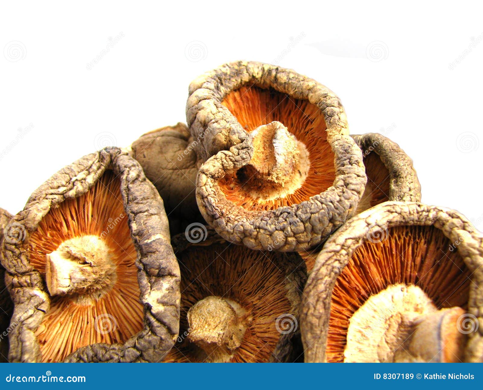 Funghi secchi di Shitake immagine stock. Immagine di sugo - 8307189