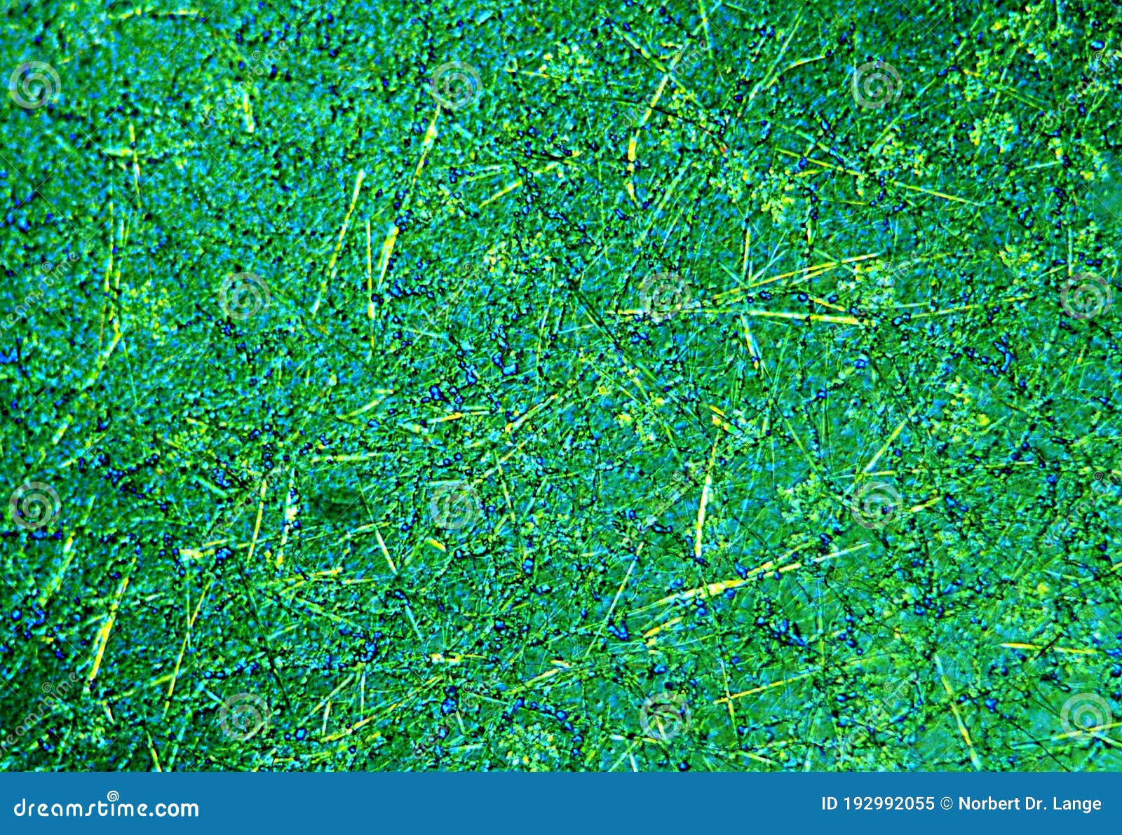 Fungi and Bacteria Destroy the Emulsion Stock Image - Image of crystals ...