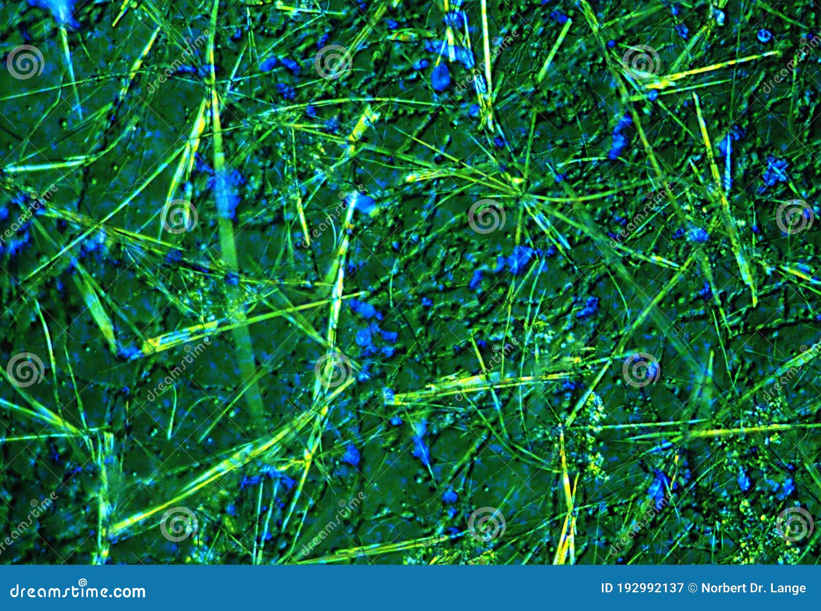 Fungi and Bacteria Destroy the Emulsion Stock Image - Image of macro ...