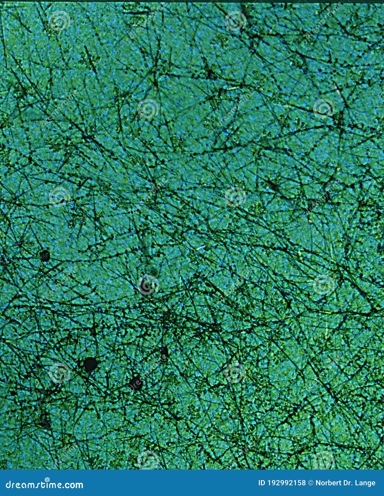 Fungi and Bacteria Destroy the Emulsion Stock Photo - Image of fungi ...