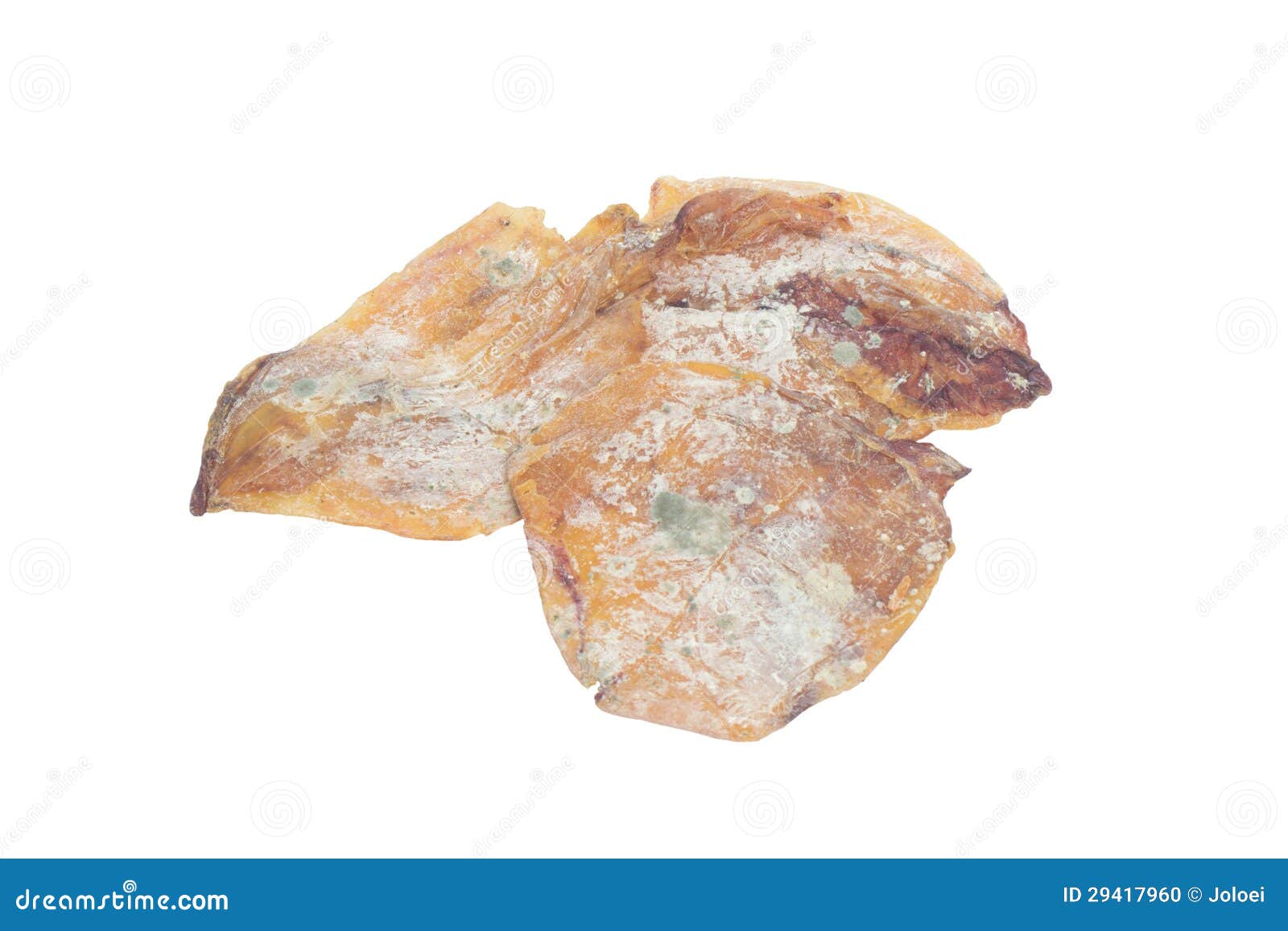 Fungi in food. stock photo. Image of bacterium, dirty - 29417960