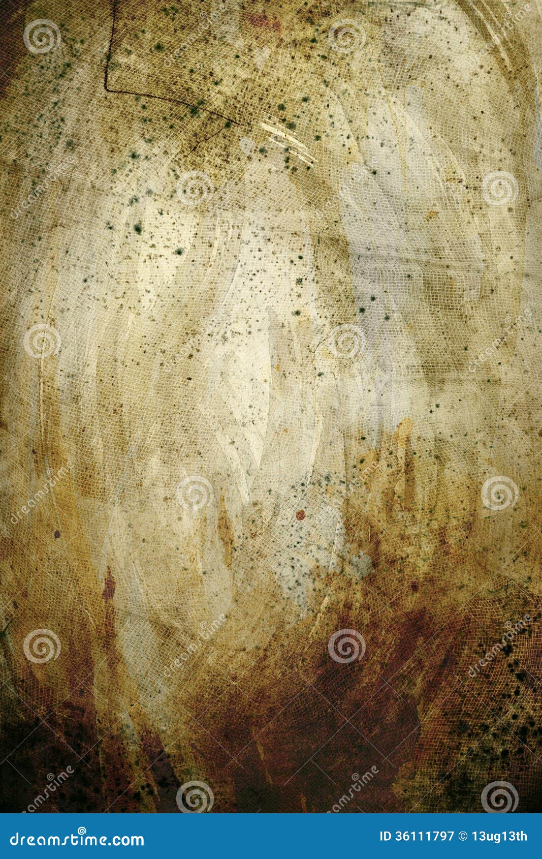 Fungus abstract Texture stock image. Image of beautiful - 36111797