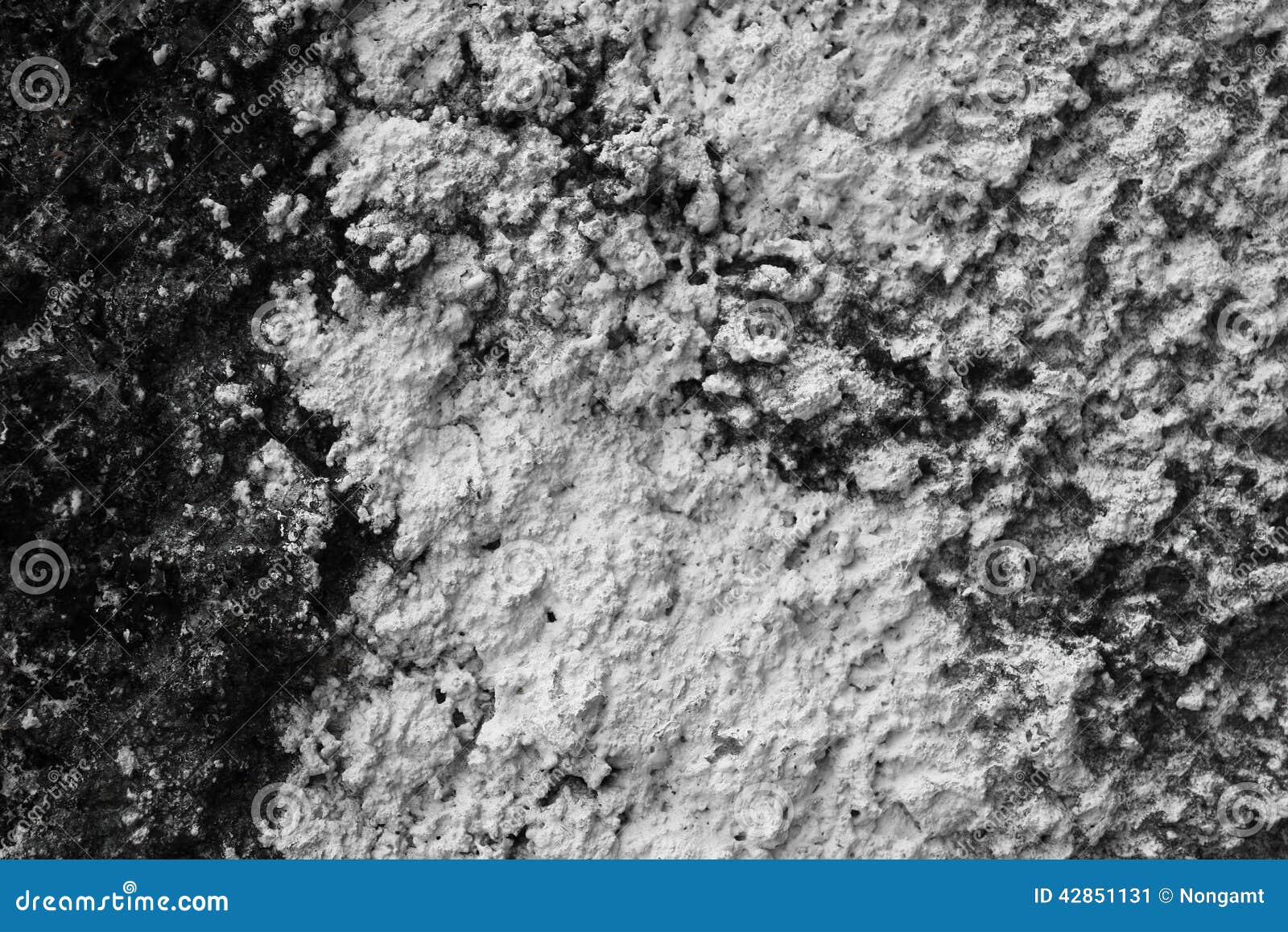 Fungus Concrete Wall Background Texture Stock Image | CartoonDealer.com ...