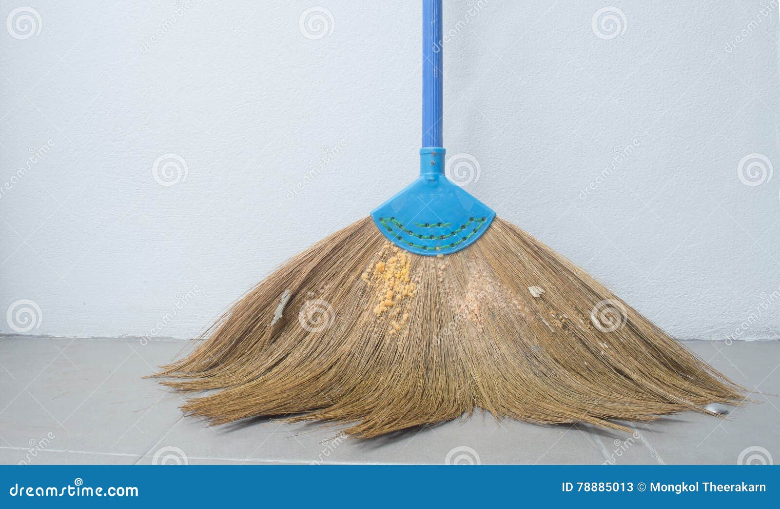 Fungus Orange Color on Dirty Broom Stock Image - Image of abstract ...