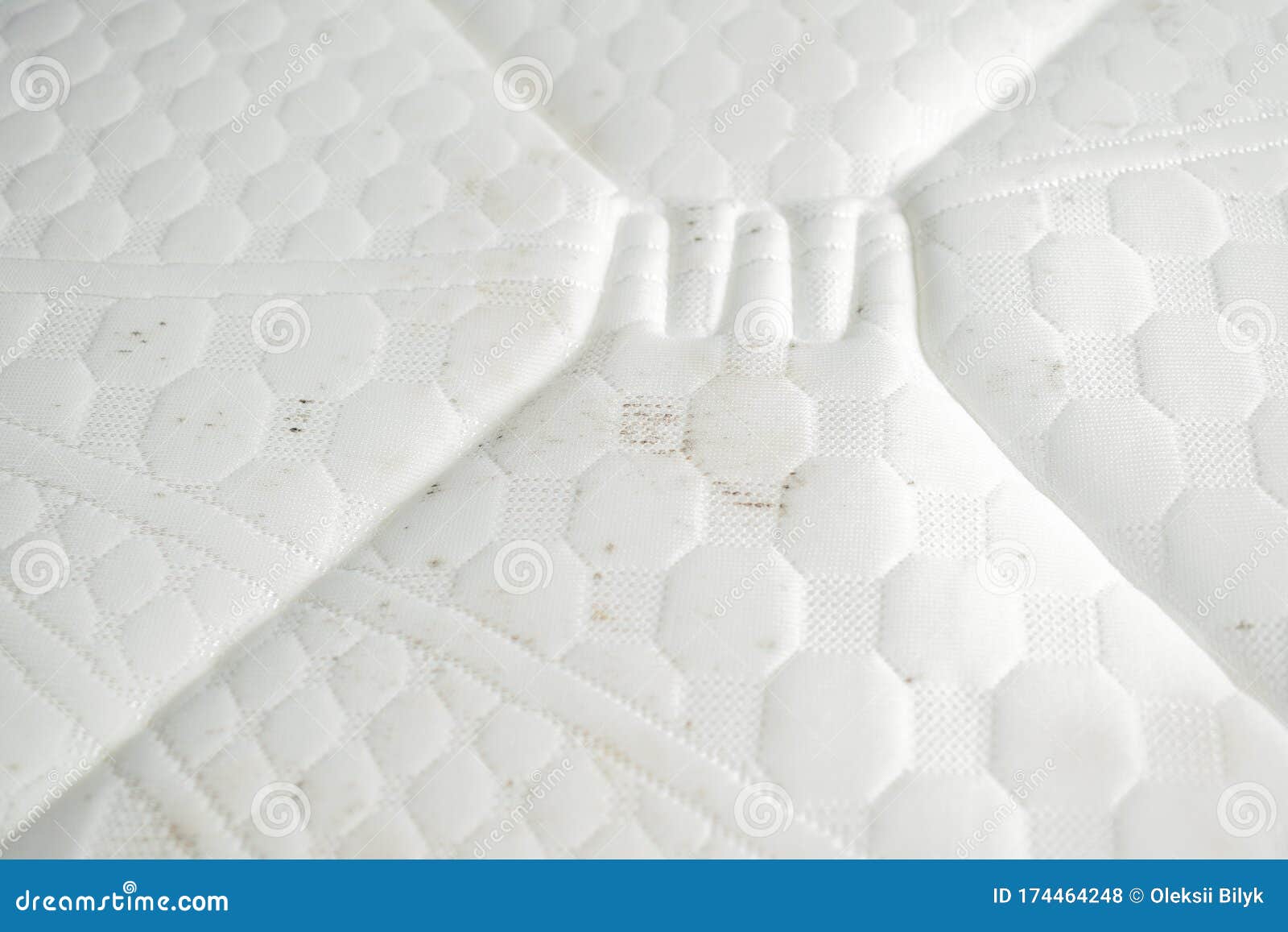 Fungus Stains on a Bedding. Dirty Mattress Stock Photo - Image of ...
