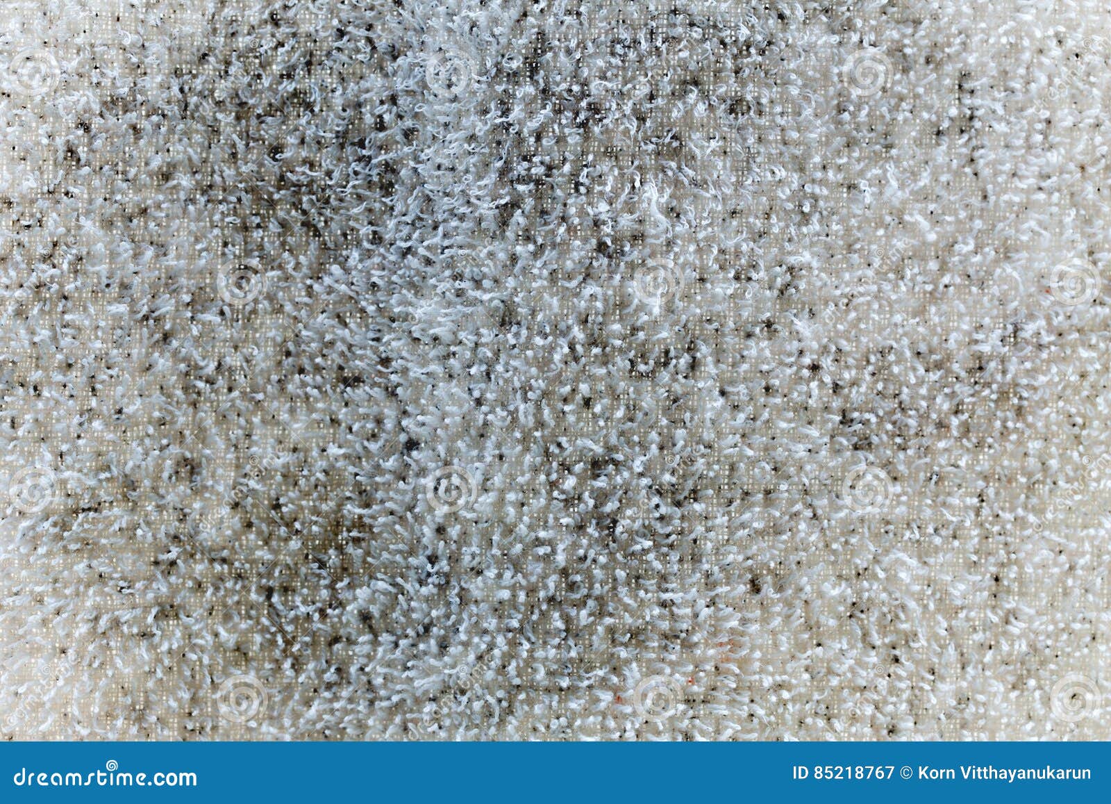 Fungus on Towel Cloth. stock image. Image of fungal, clothes - 85218767