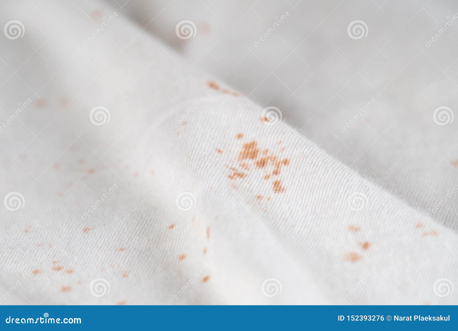 Fungus on Clothes with Selective Focus. Stock Photo - Image of fabric ...