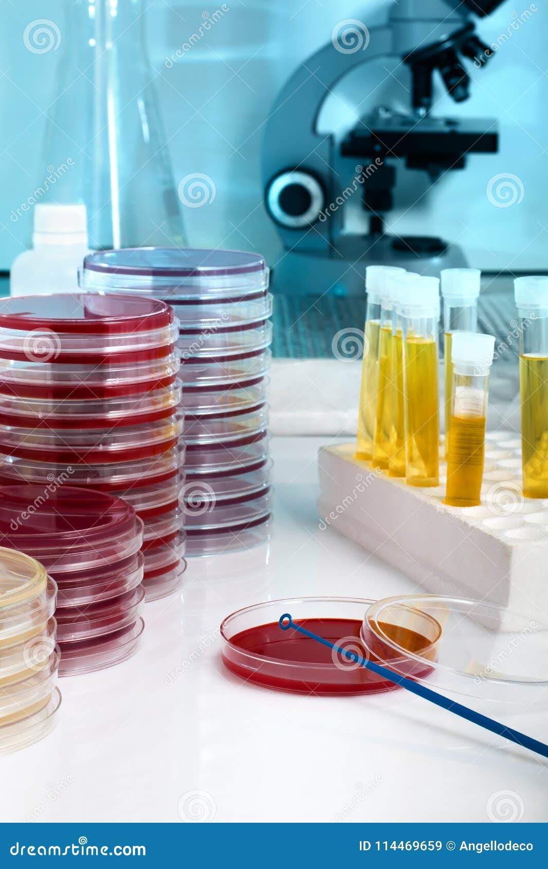 Funktionstabelle Eines Mikrobiologielabors Mit Proben Und Test ...