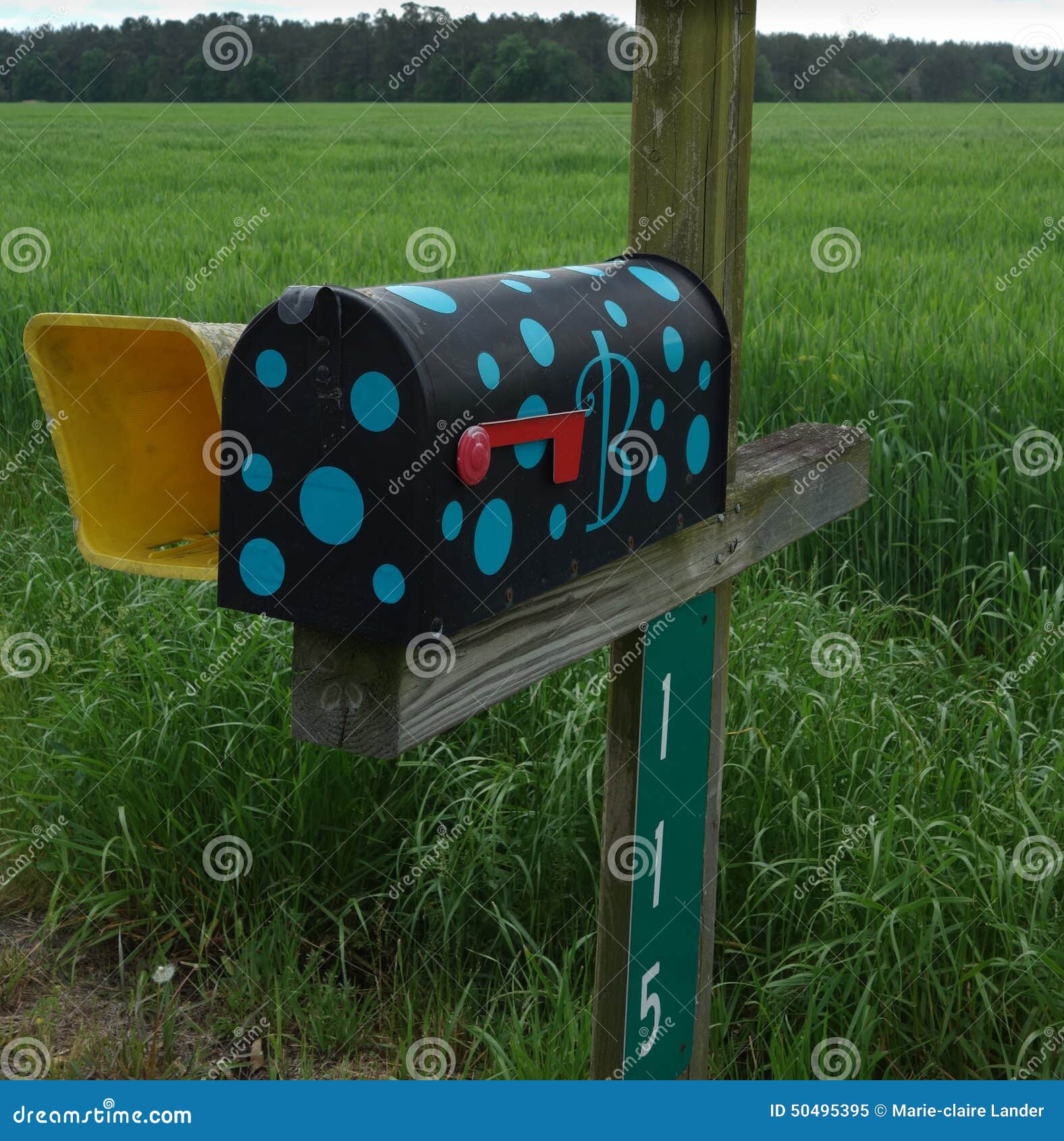 Funky Painted Mailboxes