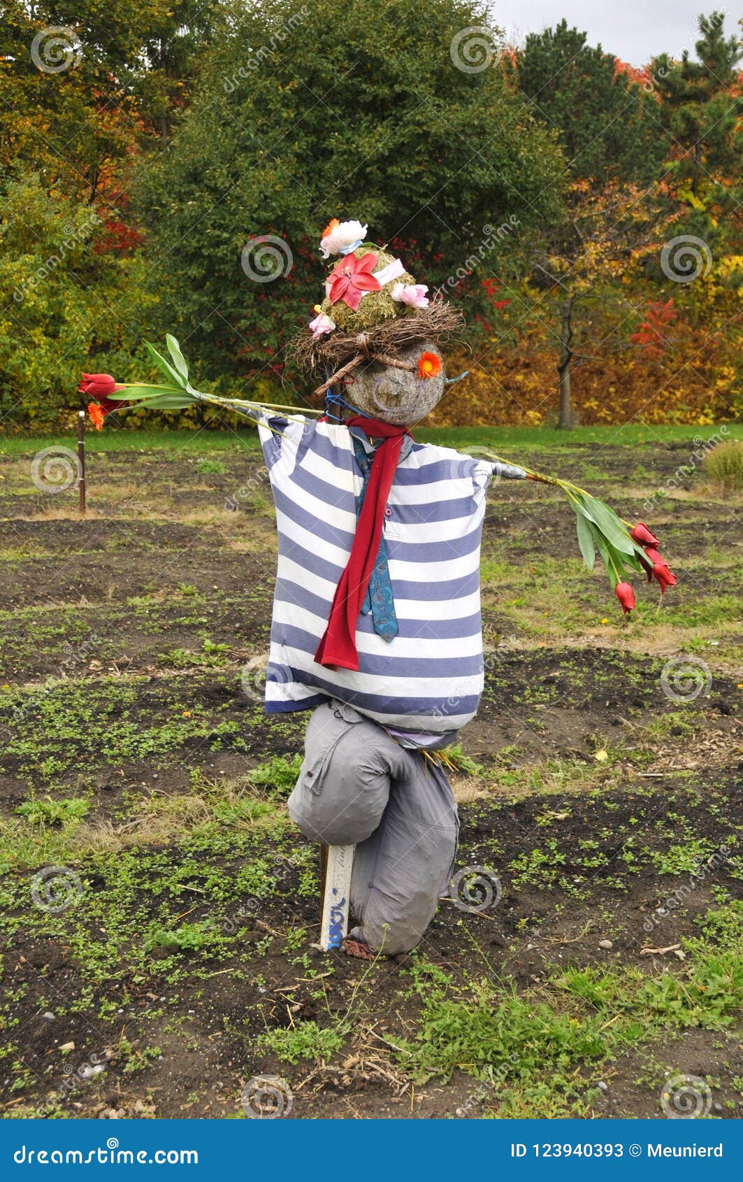 Funky Scarecrow Stock Photos - Free & Royalty-Free Stock Photos from ...